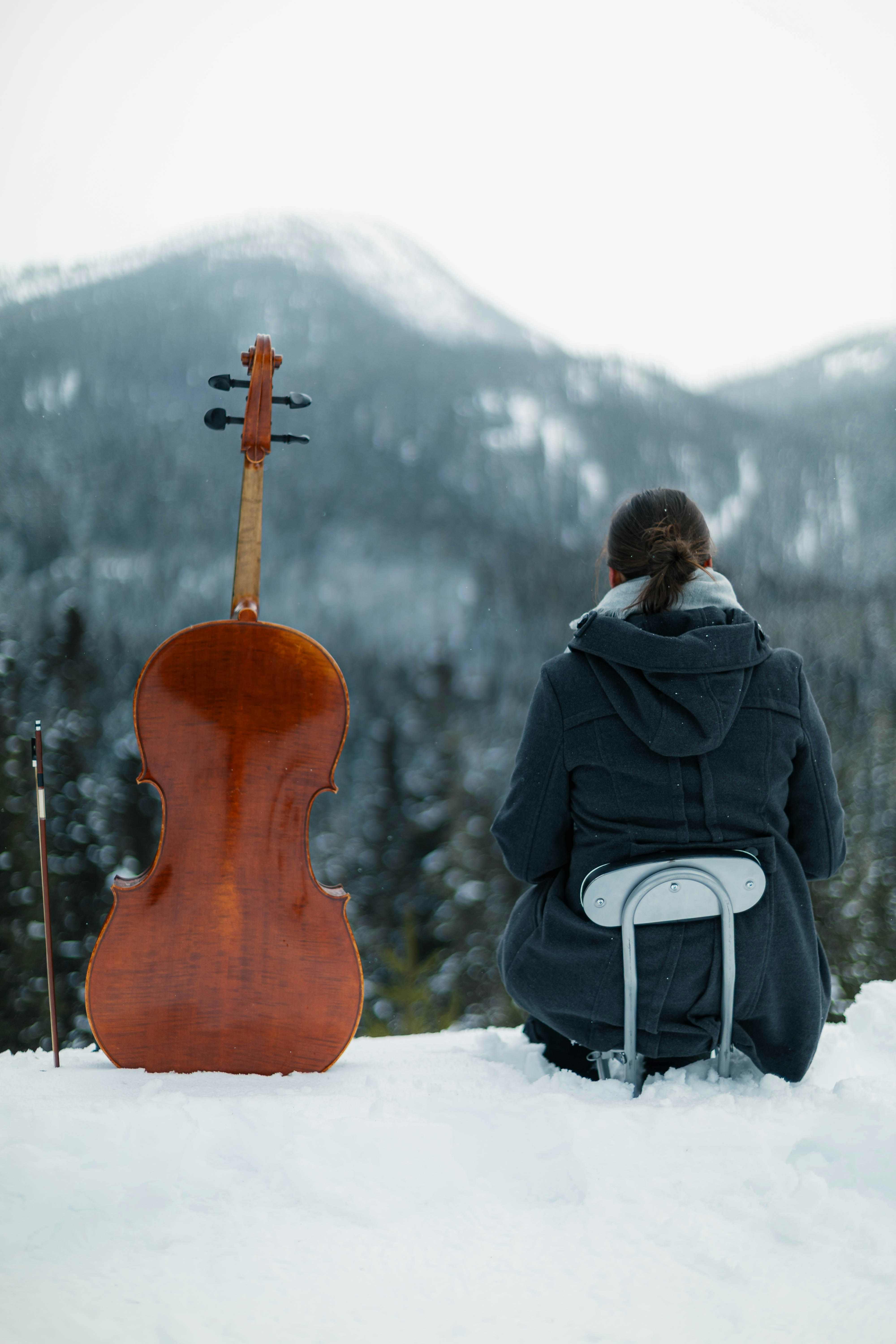 Winter Serenade: A Silent Studio by the Snow-Quiet Pines