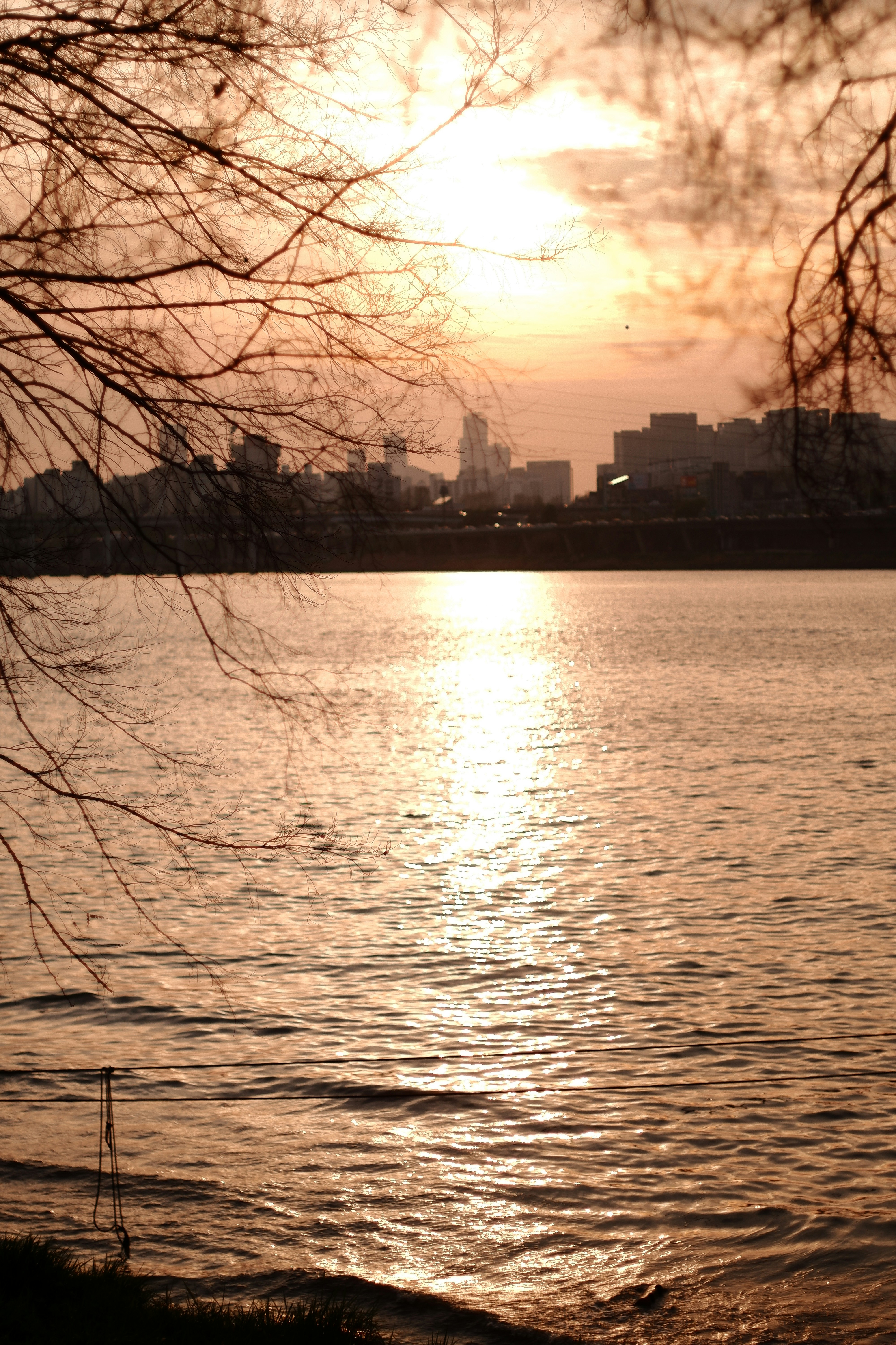 A river reflecting low sun with a distant city skyline and bare tree branches