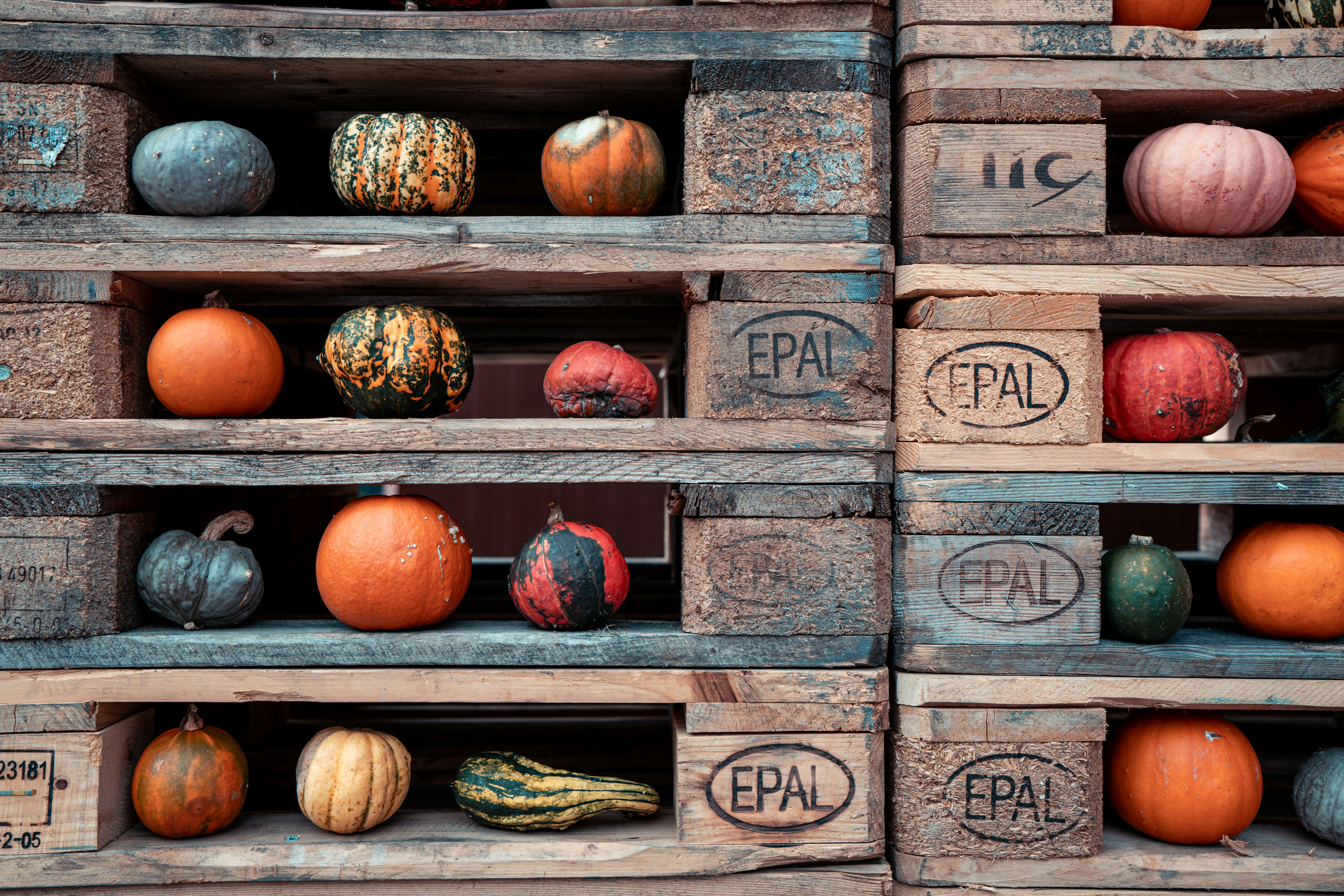 Colorful pumpkins and gourds displayed between stacked weathered wooden pallets, creating a rustic autumn market scene.