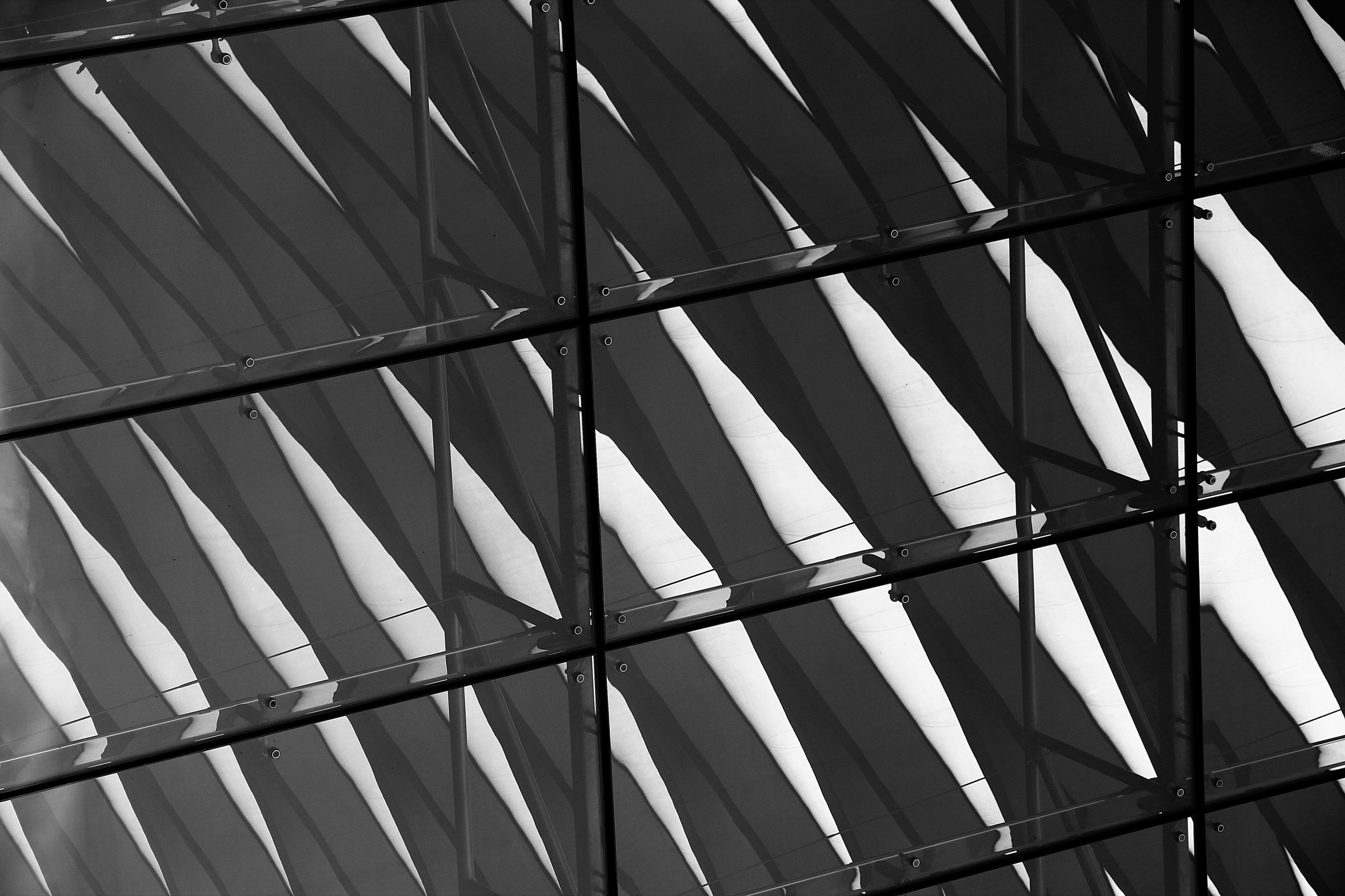 Geometric Facade: Repeating Glass Slats in Monochrome Grid