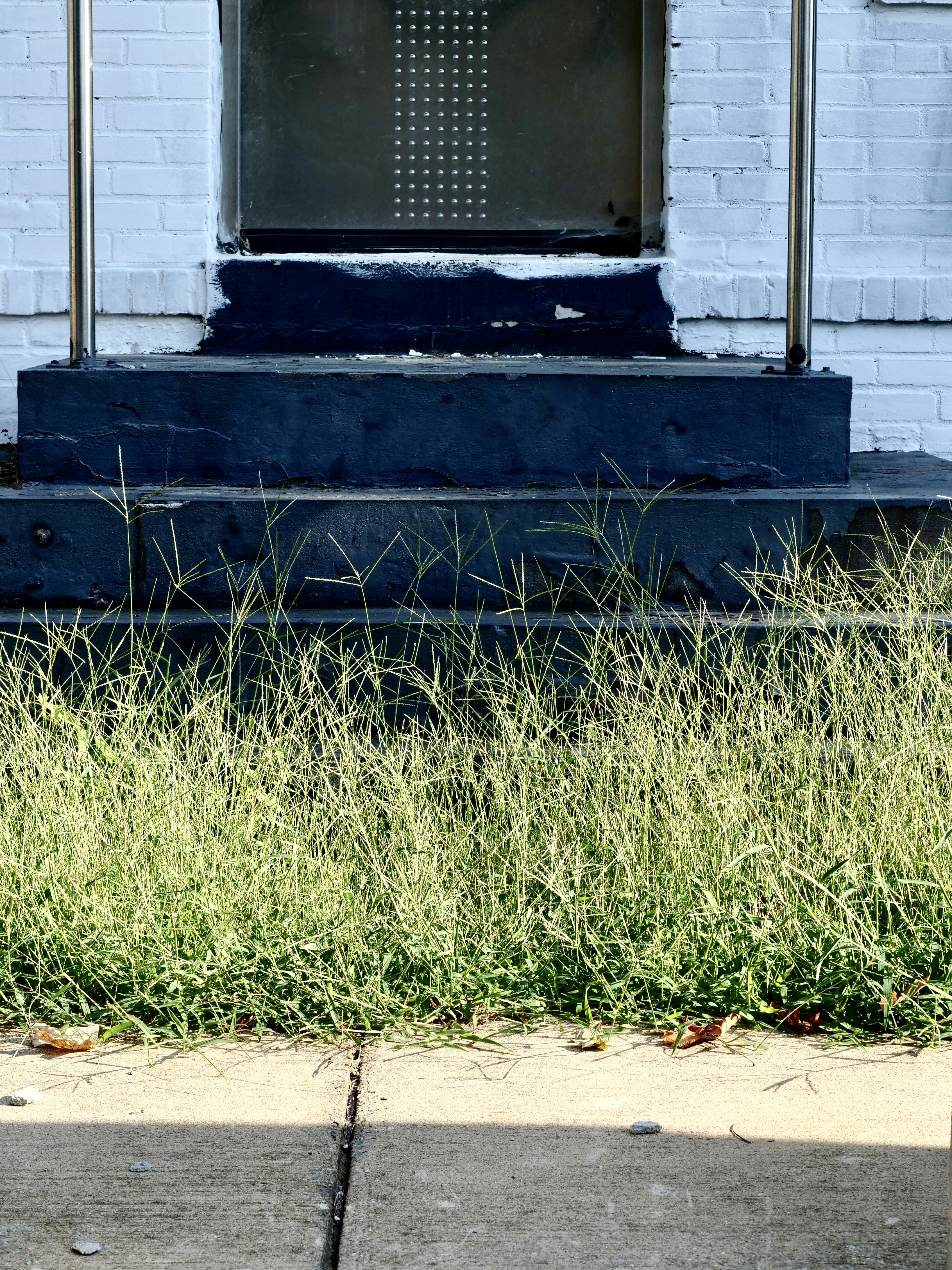 Weed-Grown Threshold: The Quiet Entrance