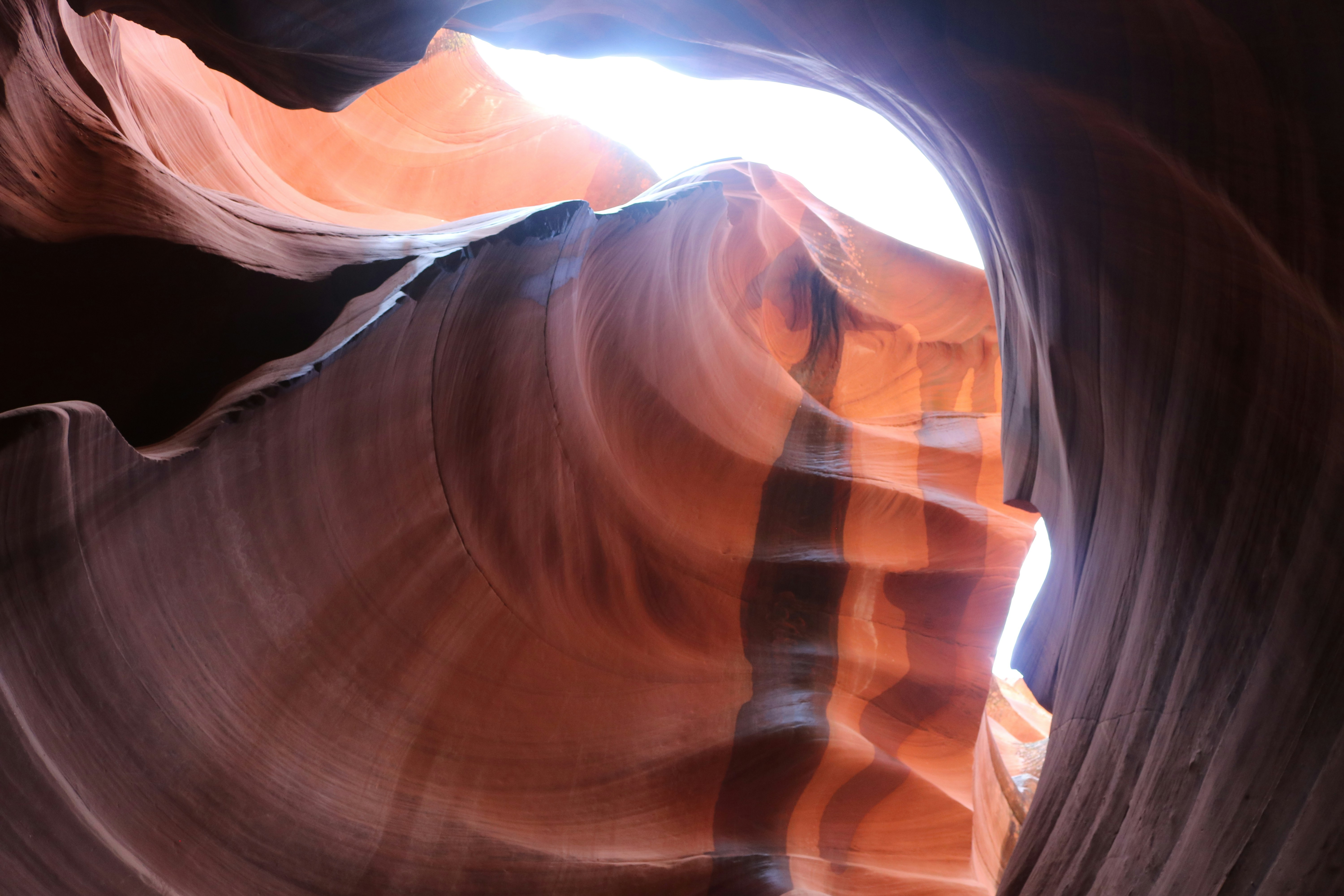 Light through Red Canyon: A Sculpted Skyward Fold