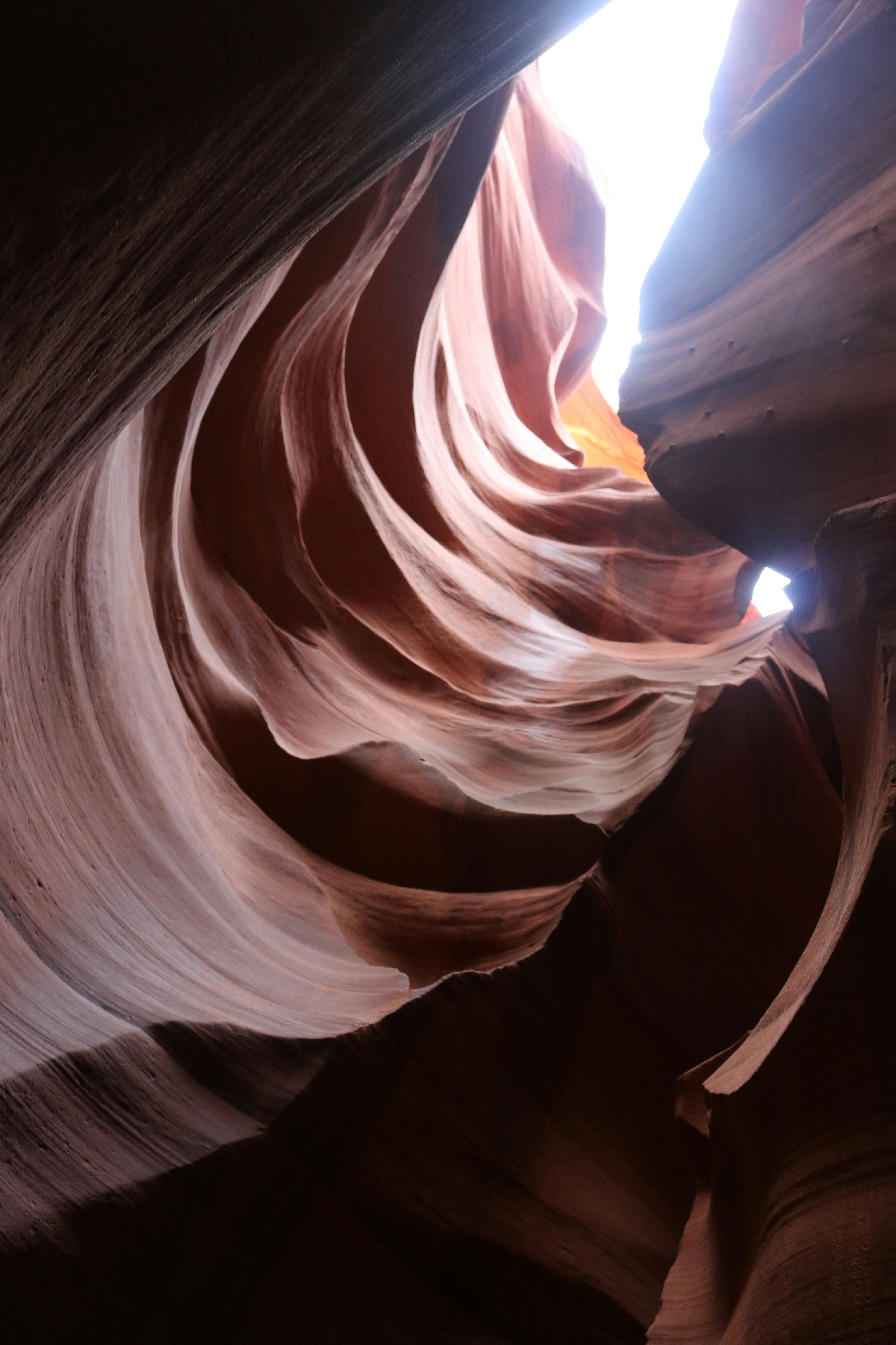 Waves of Stone: Light Framing the Canyon’s Vein