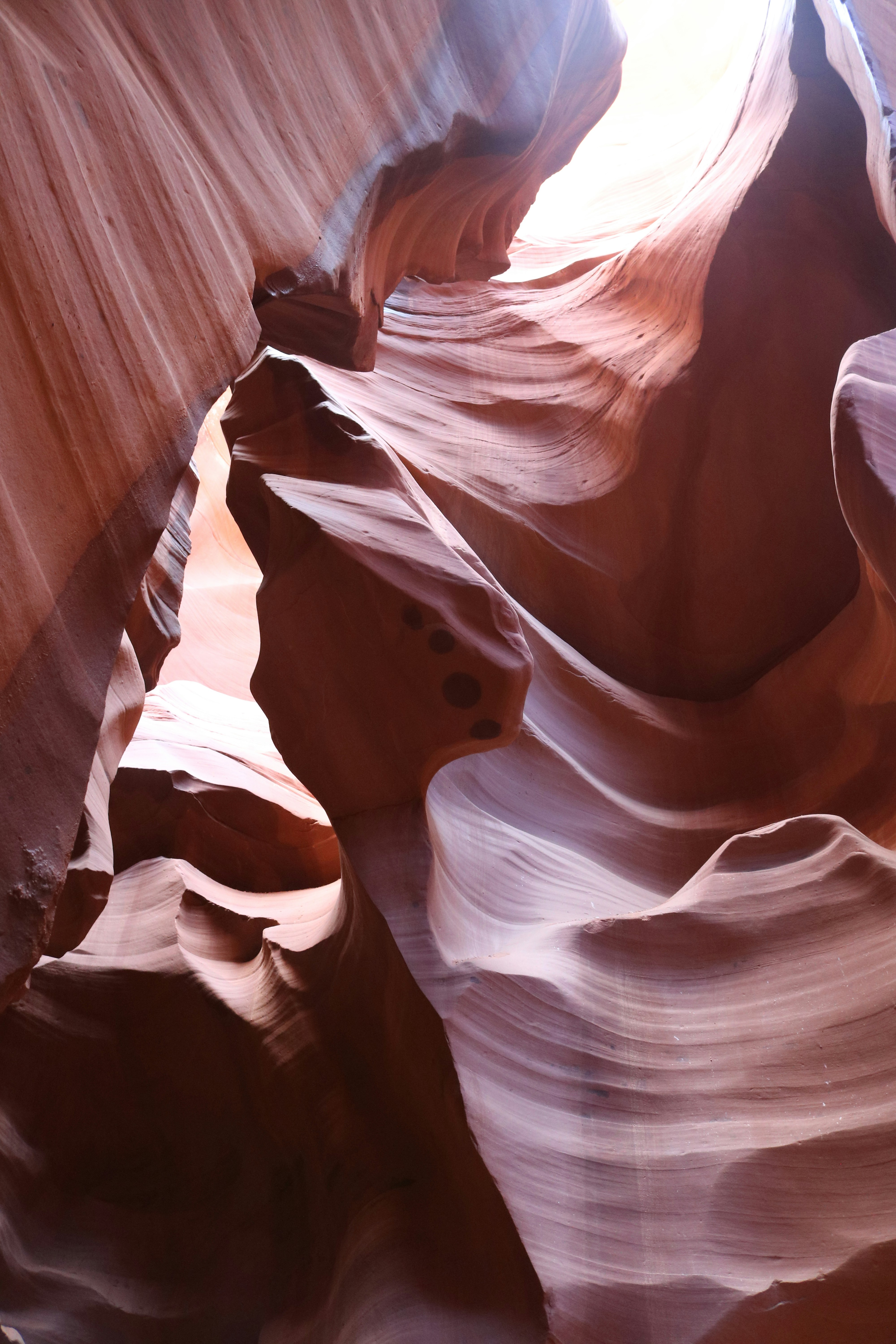 Curved Echoes of Canyon Light
