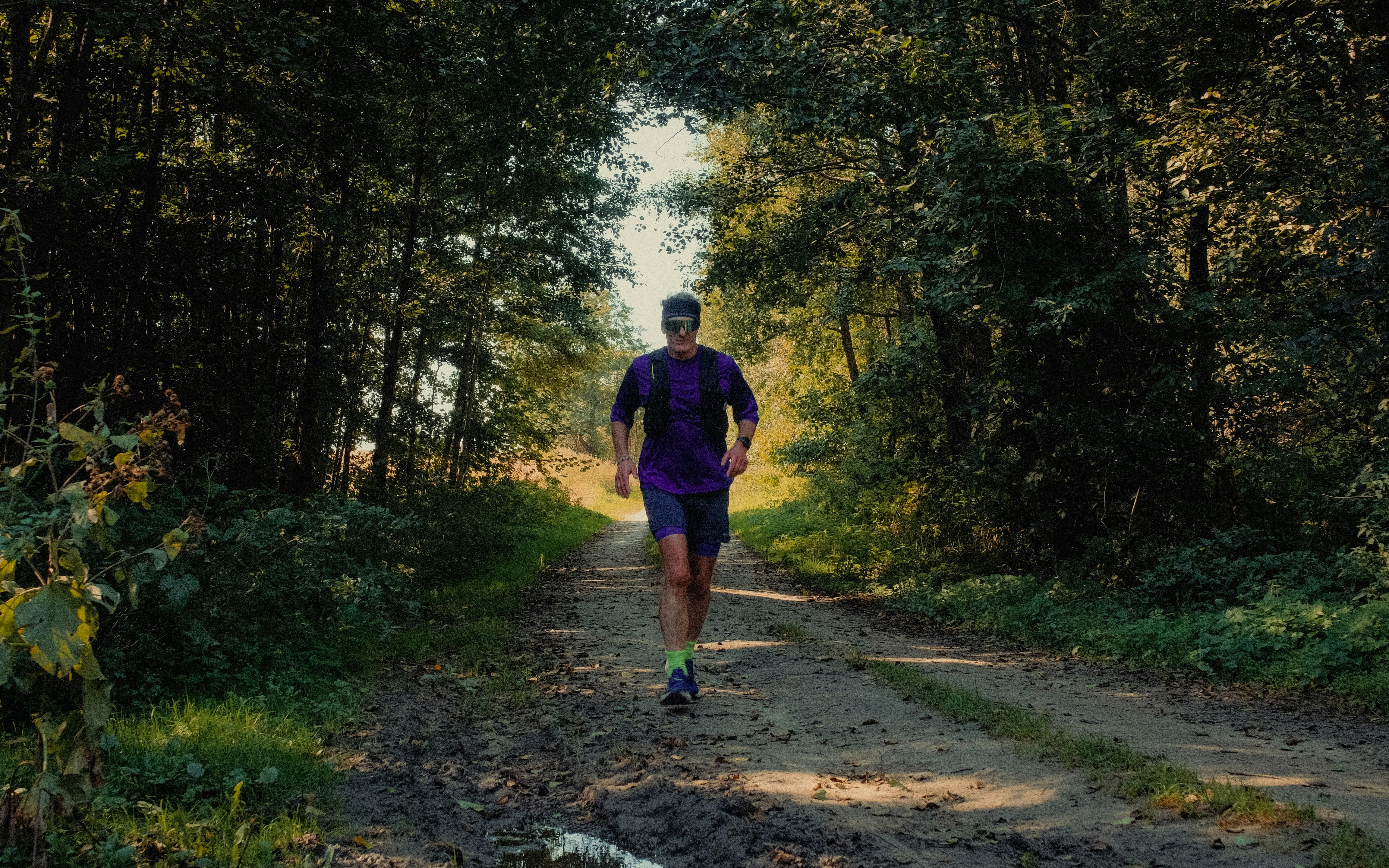 Trail Runner in a Quiet Forest Woodland