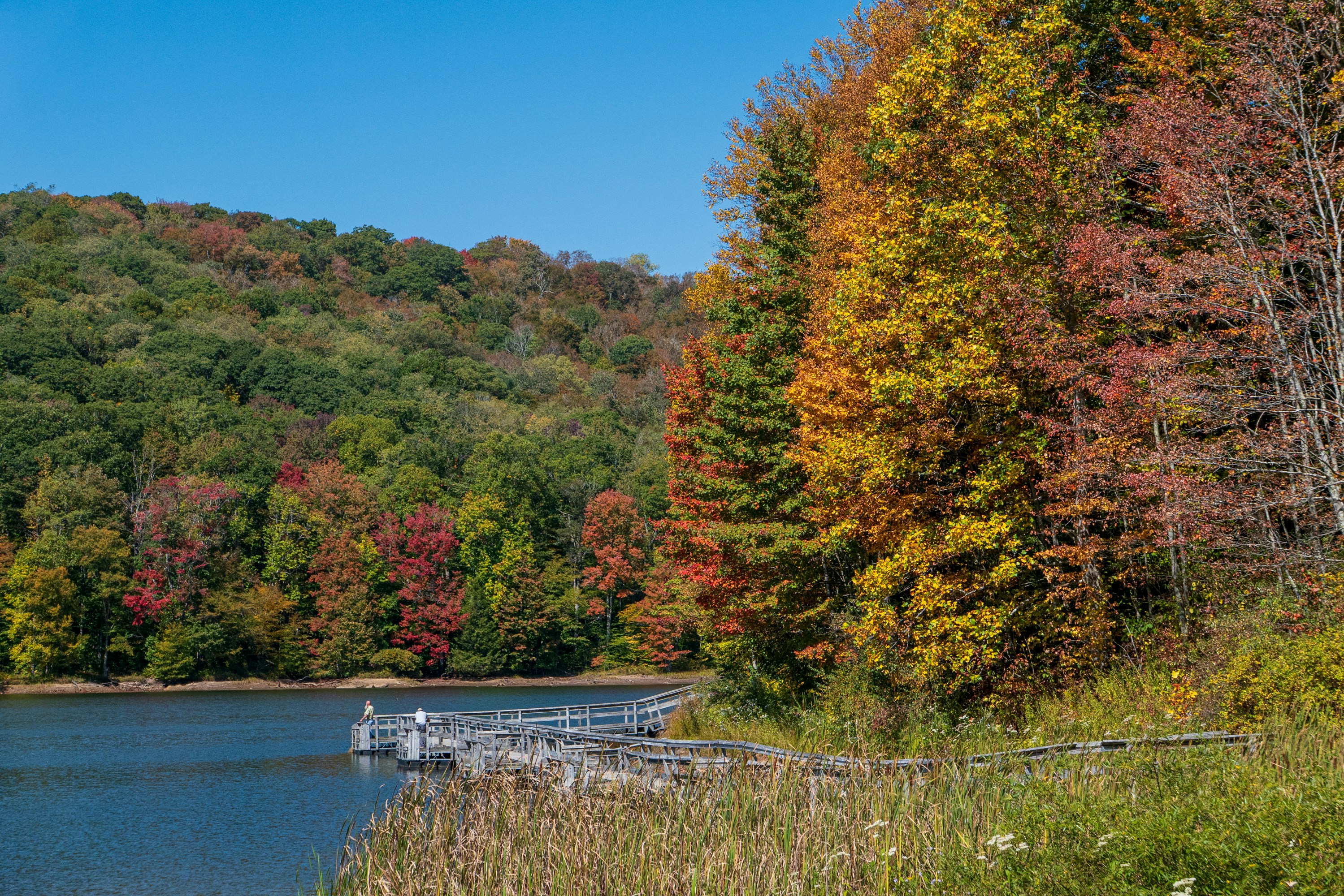 Vibrant fall colors line the lakeshore, with a weathered dock extending into tranquil water under a clear blue sky.