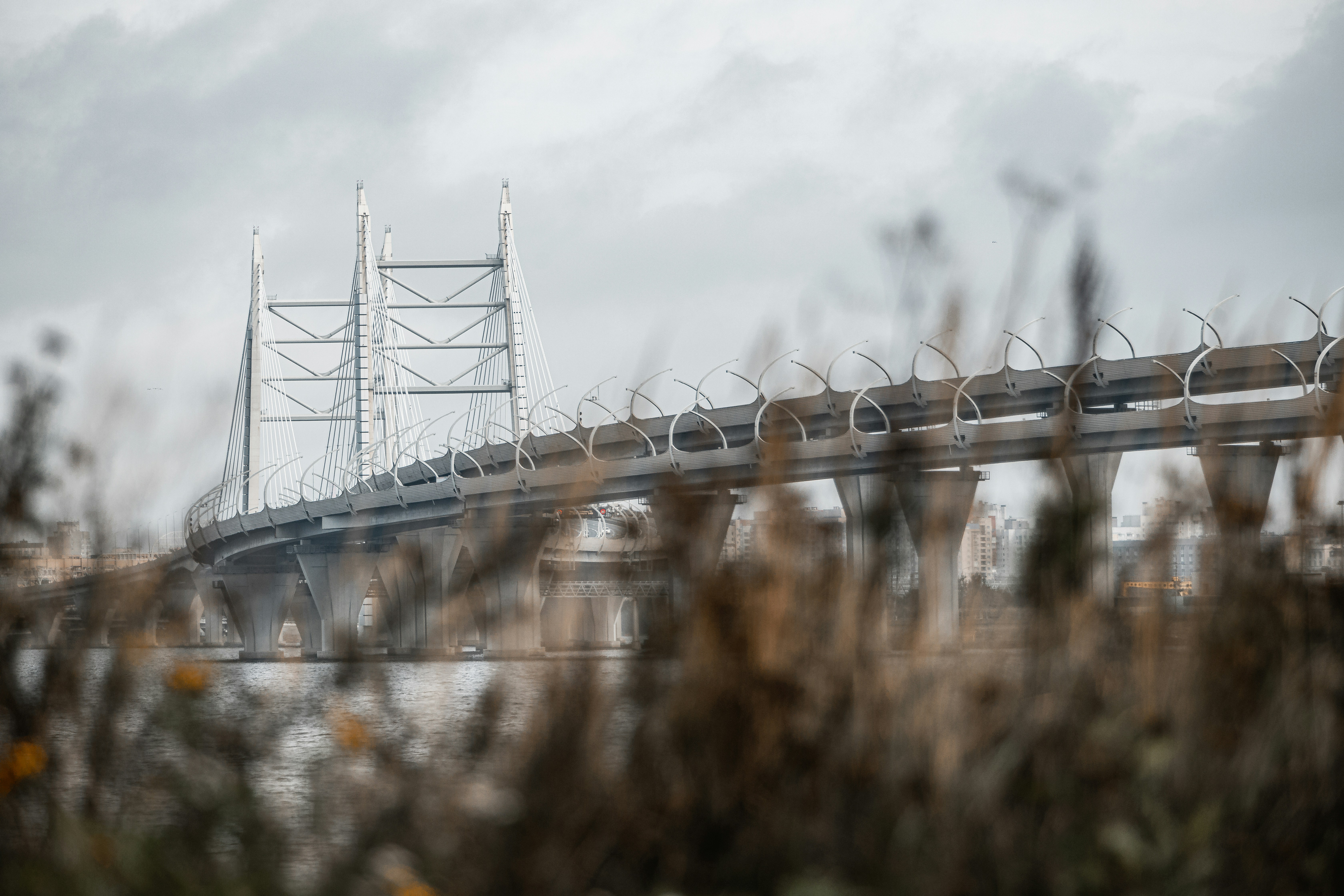 Bridge Wings: A Framing of Metal Ridges Across the Water