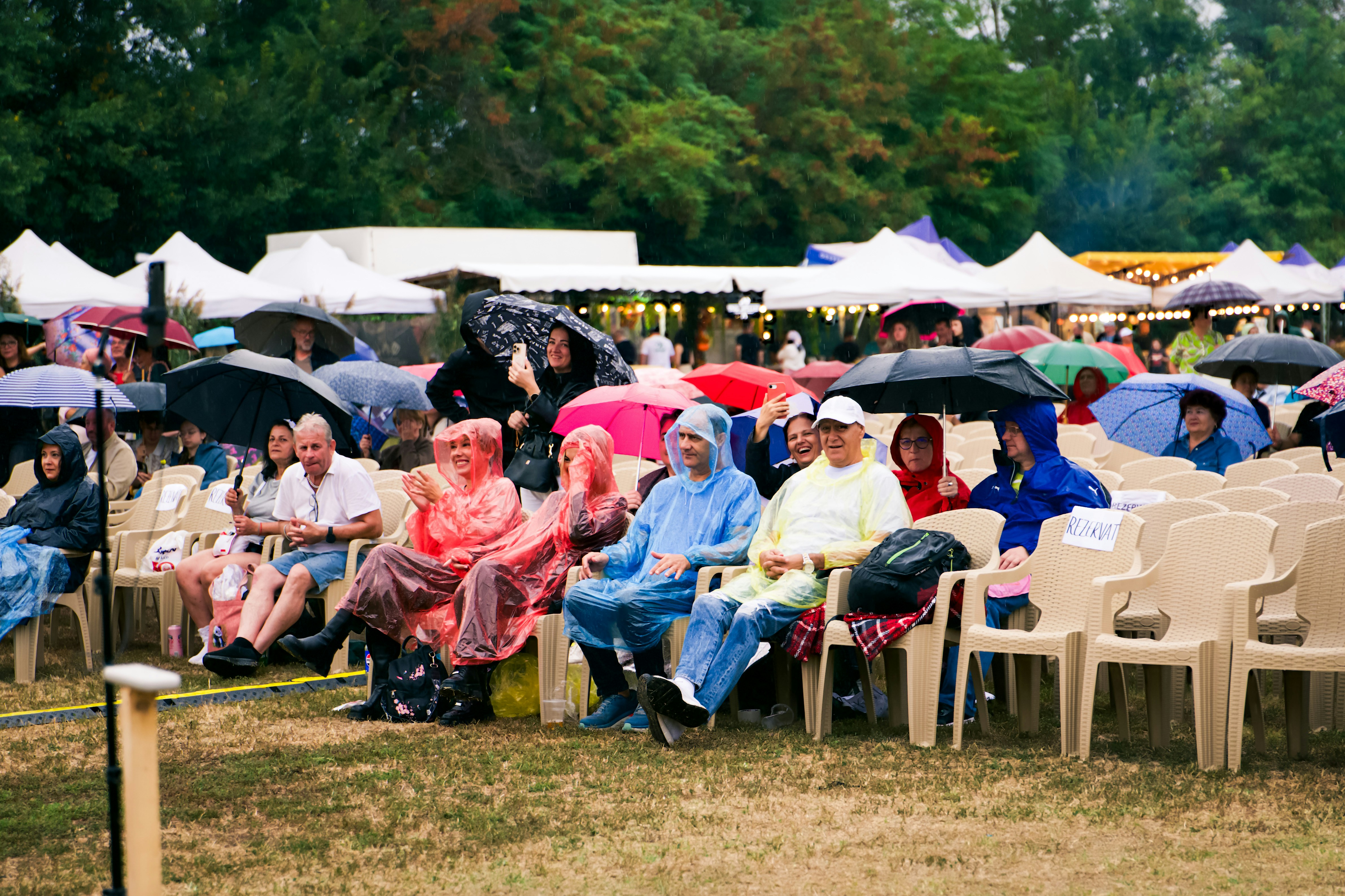 Audience Under Gray Skies: Rainy Day Festival Picnic Portrait
