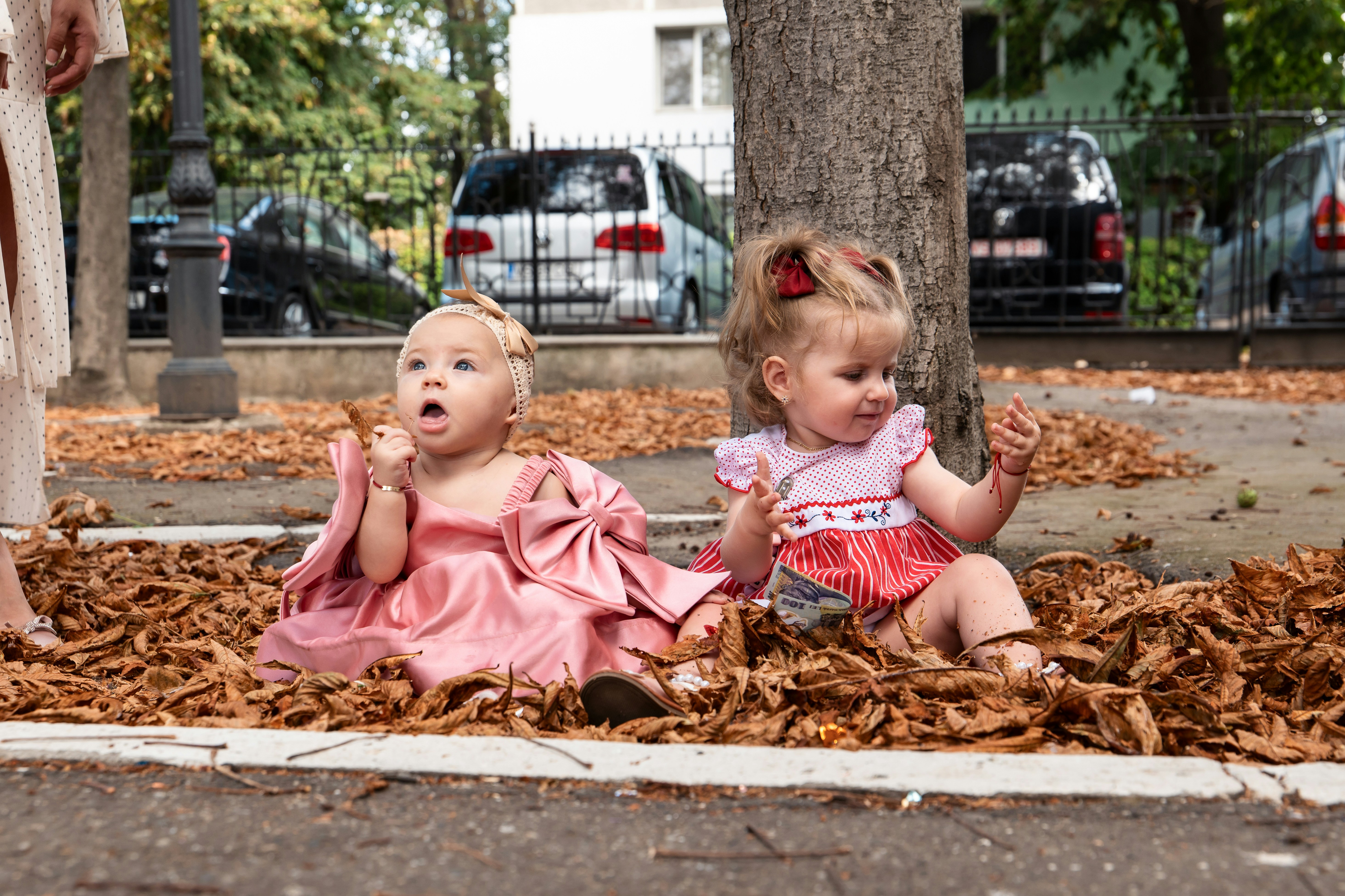 Autumn Sesame: Twin Dresses Amid Fallen Leaves