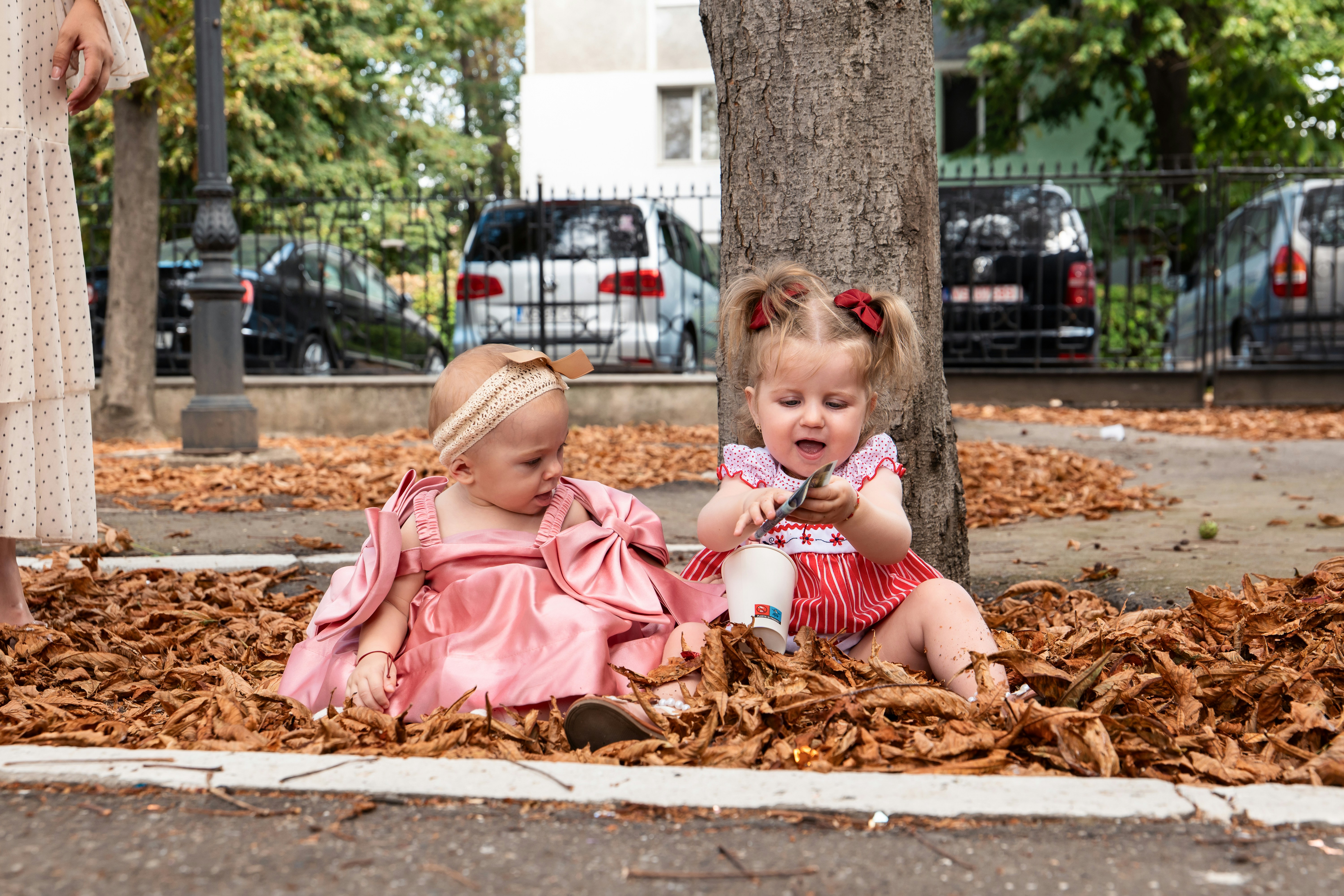 Two-dressed toddlers on a maple-leaf parade beneath a city tree
