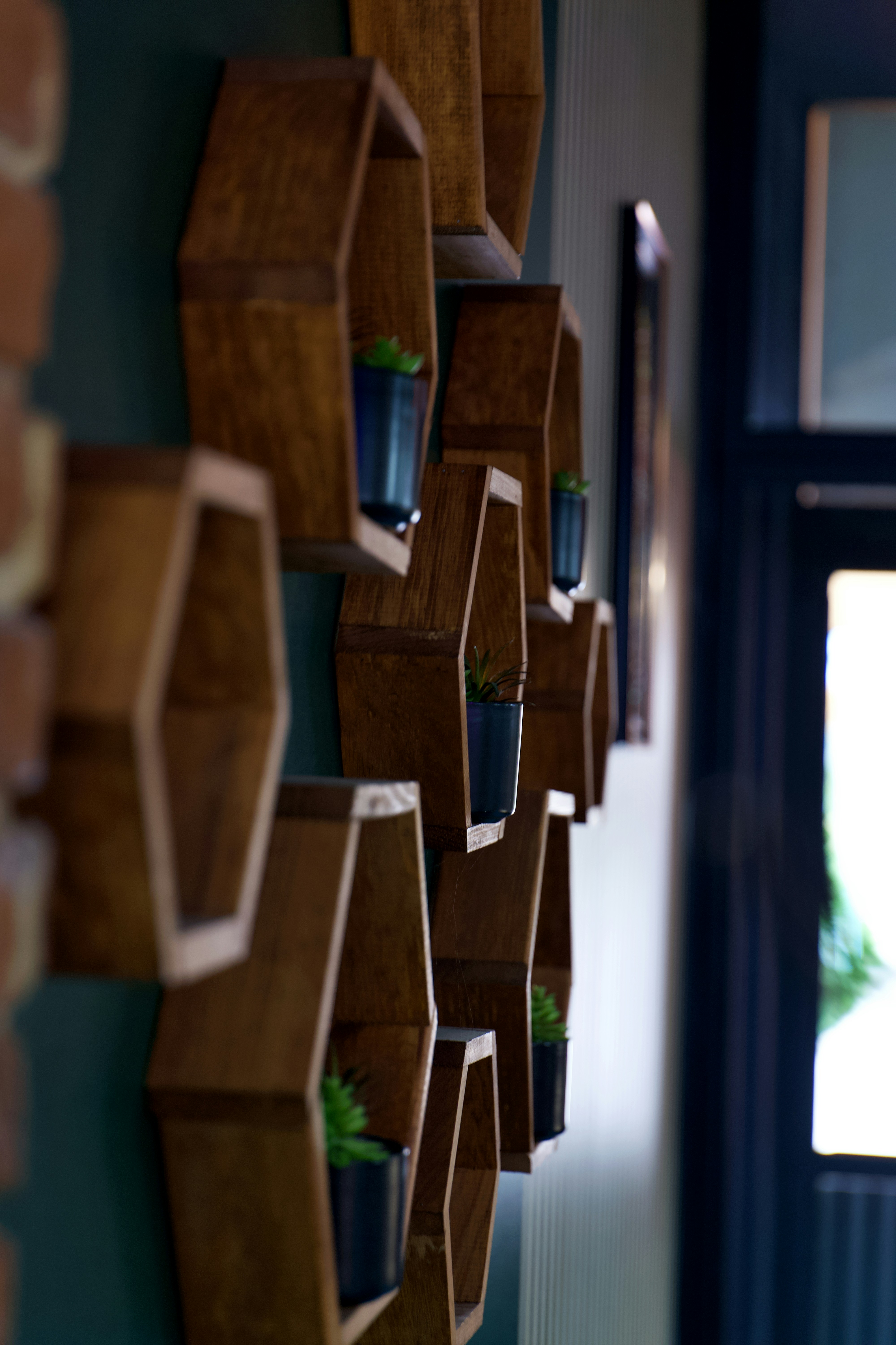 Wooden Hexagons with Greenery: A Vertical Gallery of Wall Planters