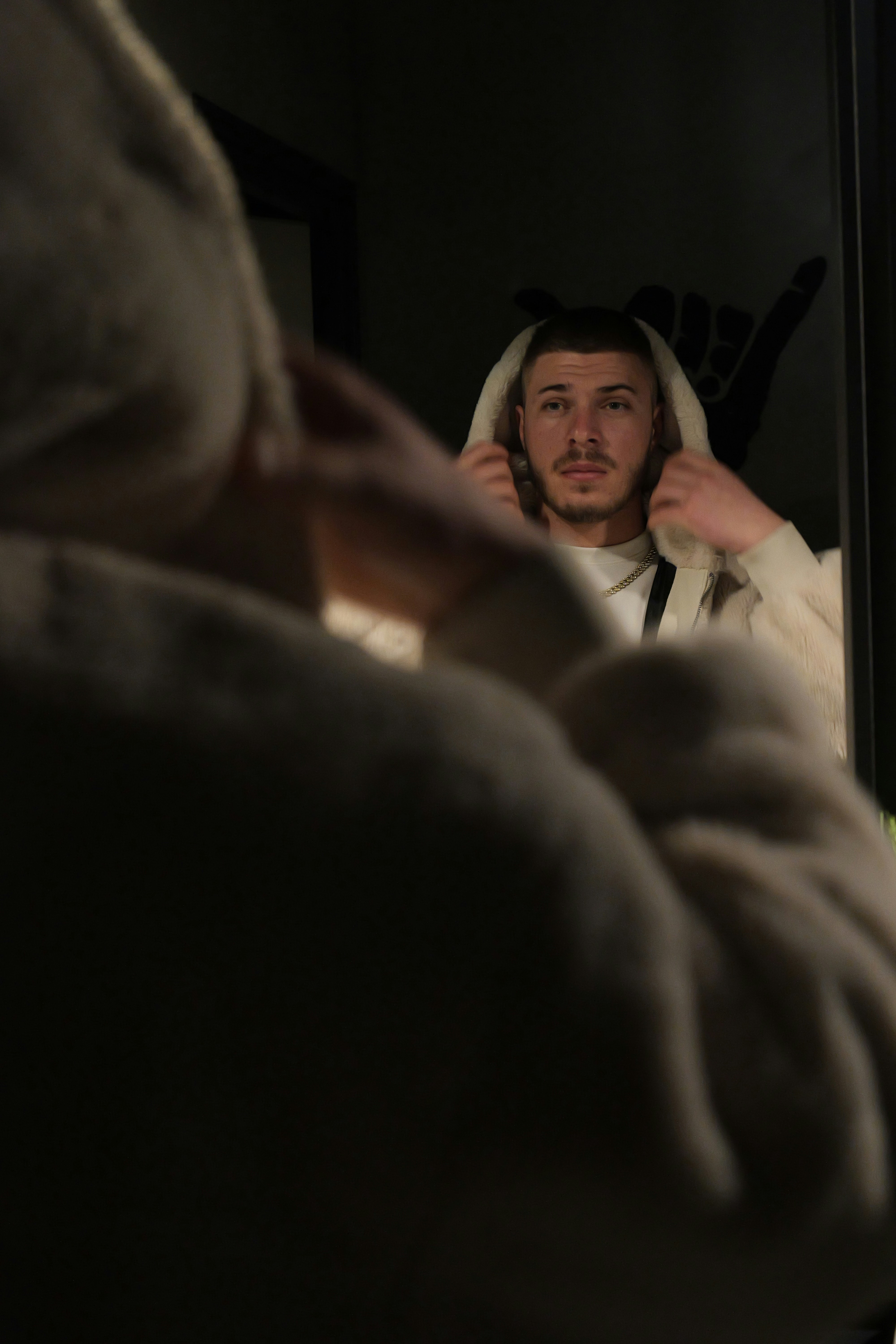 Reflection in the Dusk Mirror: A Quiet Gaze in Plush Hues