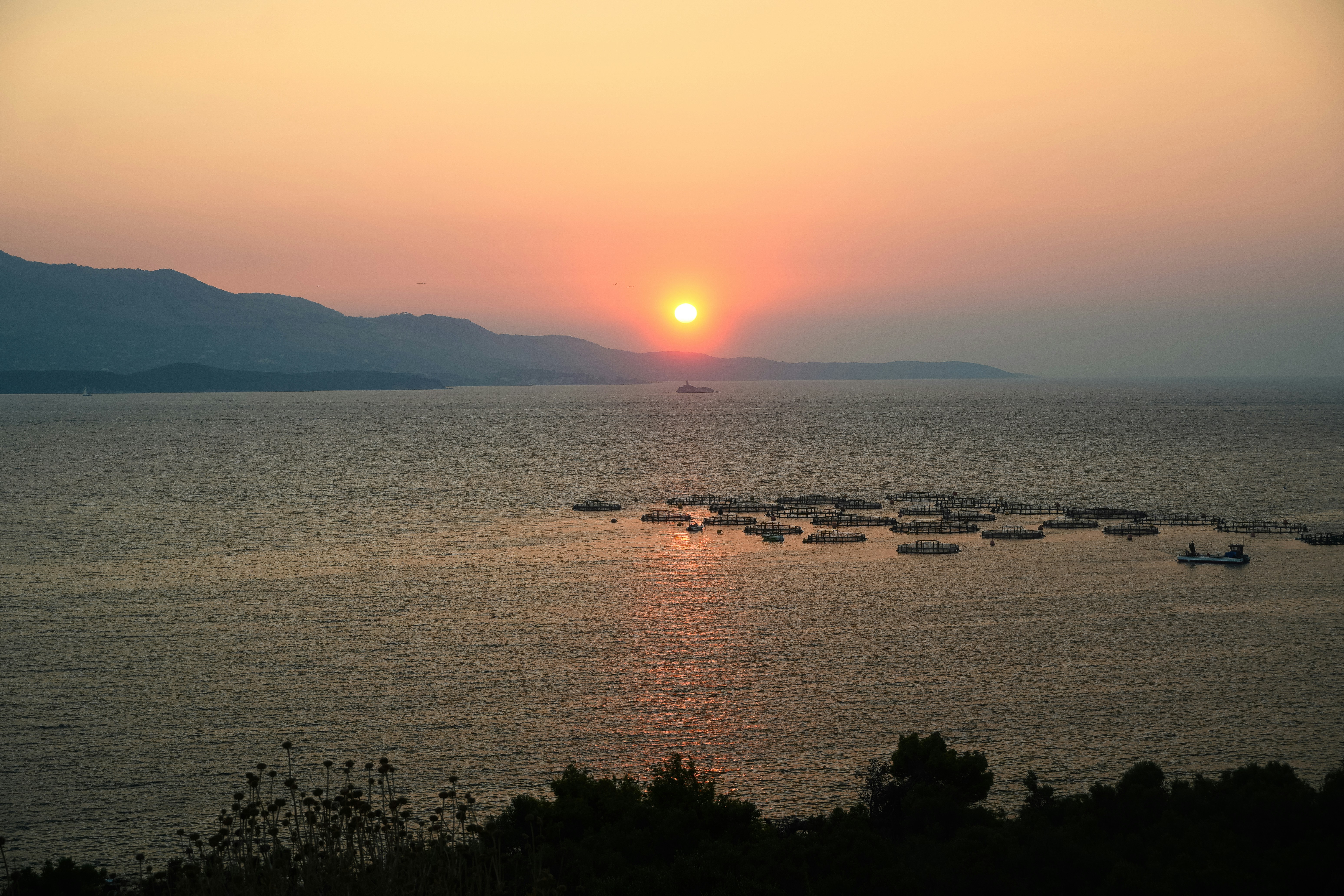 Sunset Harbor: Boats Slumber under a Peach Sky