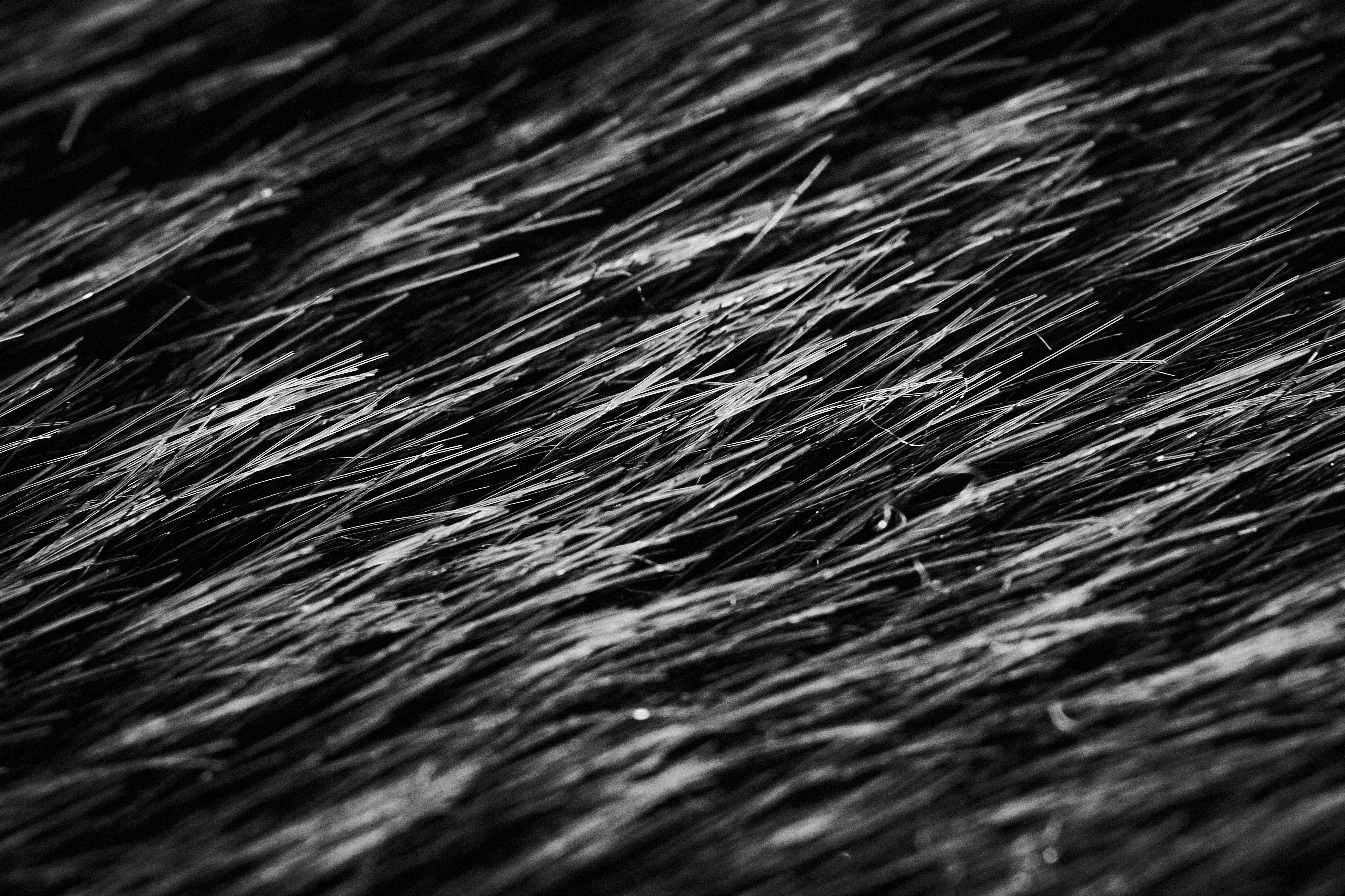 Ridgework in Monochrome: A Macro Study of Hair Texture