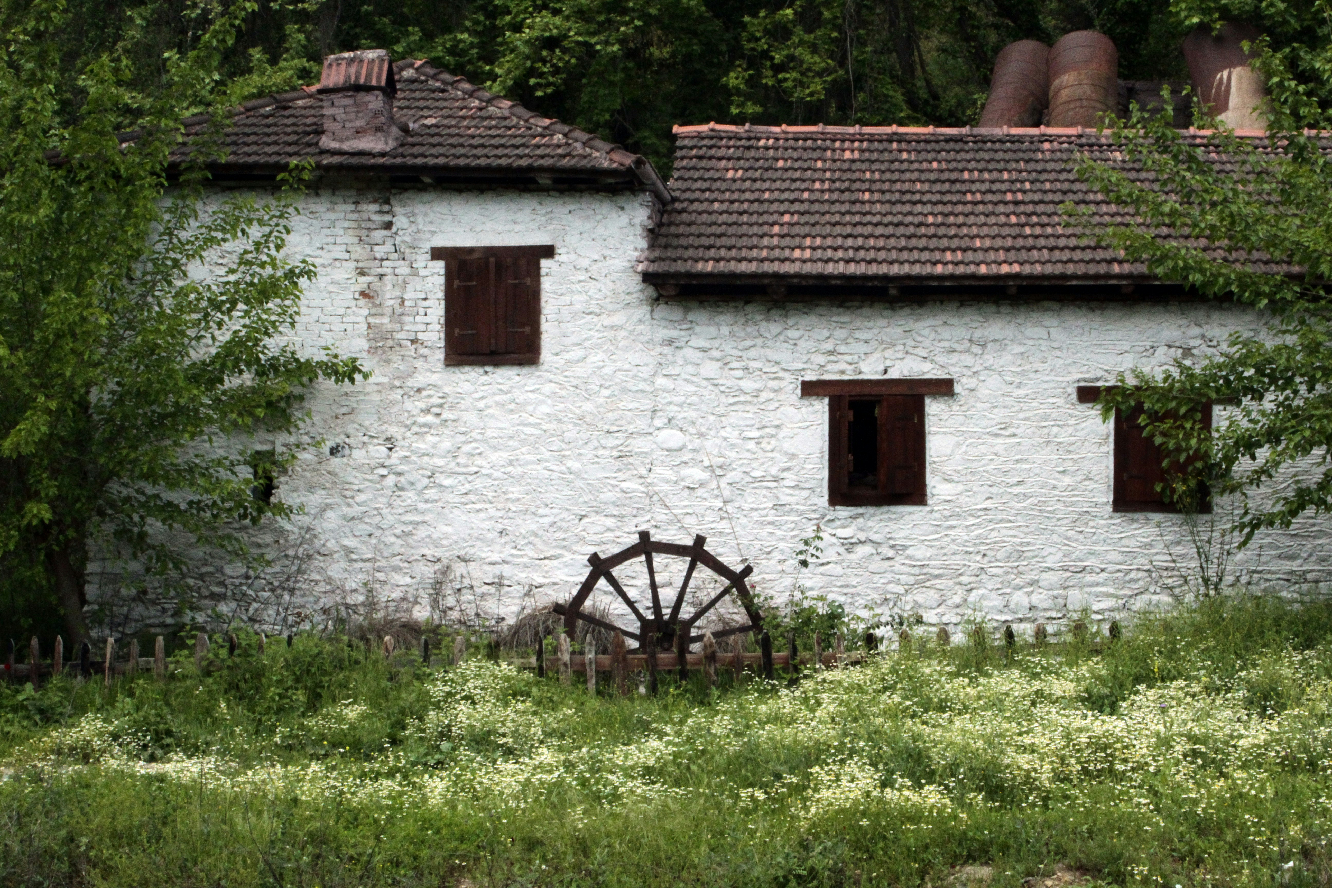Whitewashed Cottage with Waterwheel in a meadow