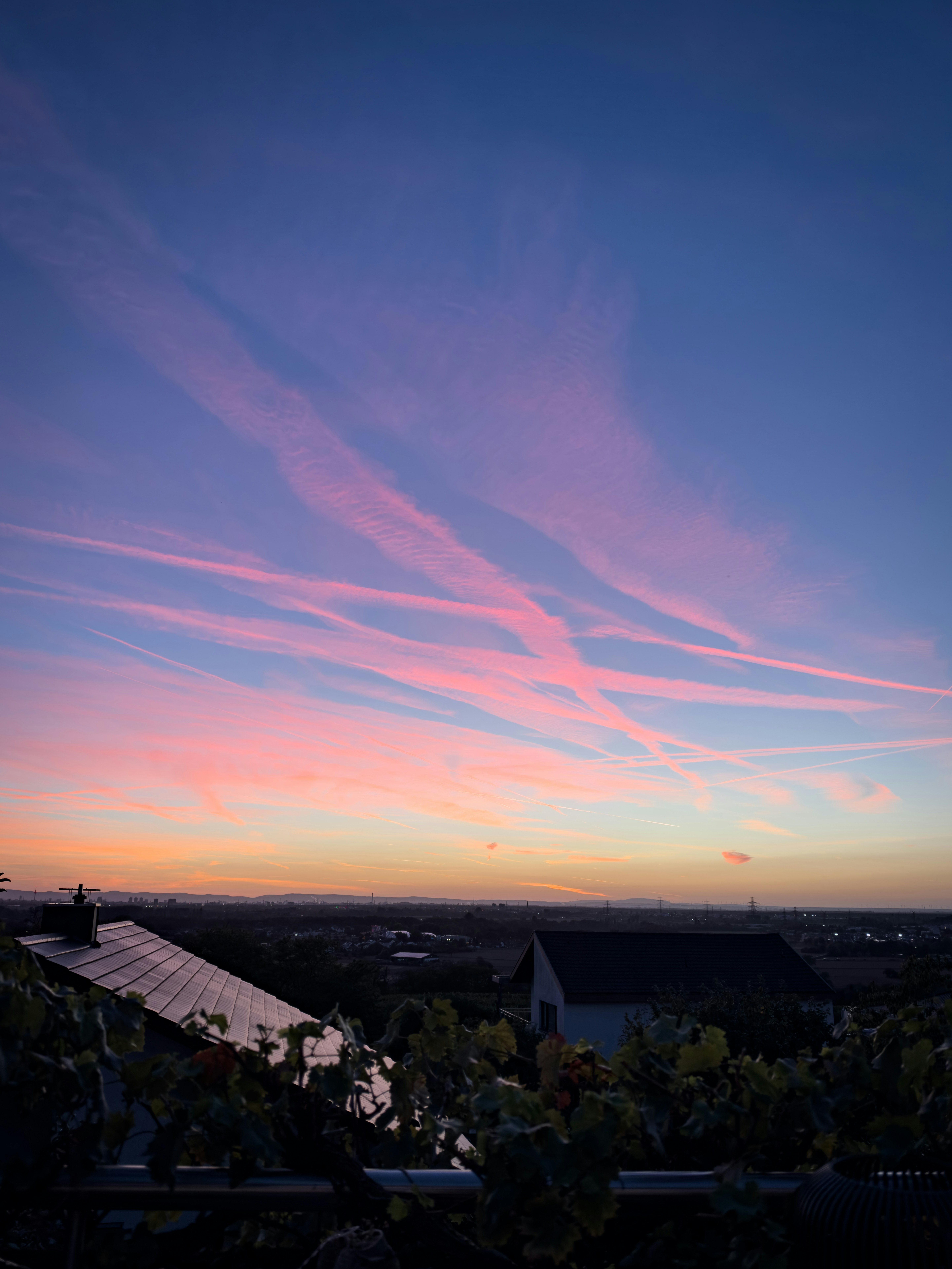 Pink contrails across a blue and orange sky above suburban rooftops