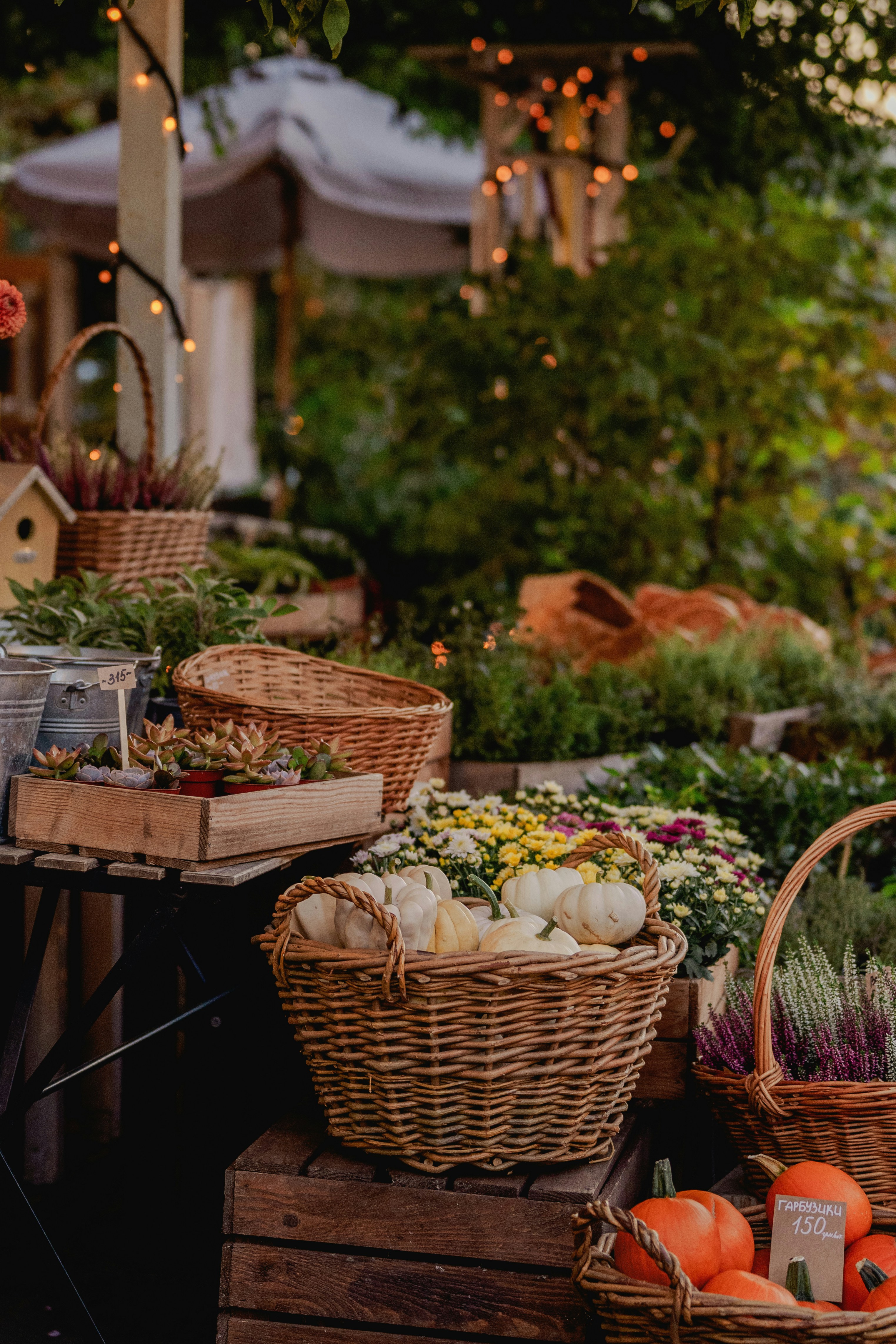 Harvest Glow: A Rustic Market Palette Under String Lights