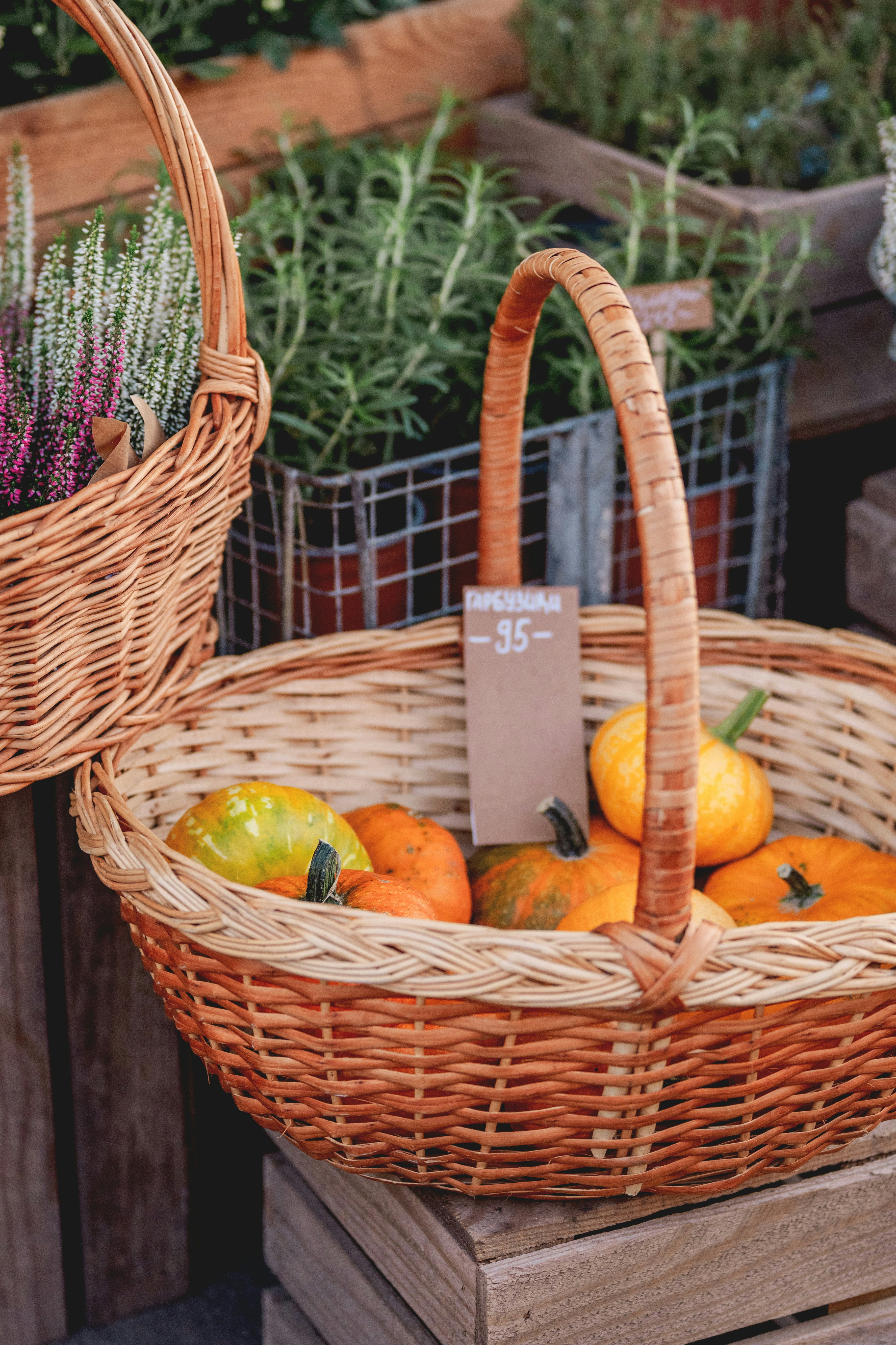 Pumpkin Basket at a Market Stand