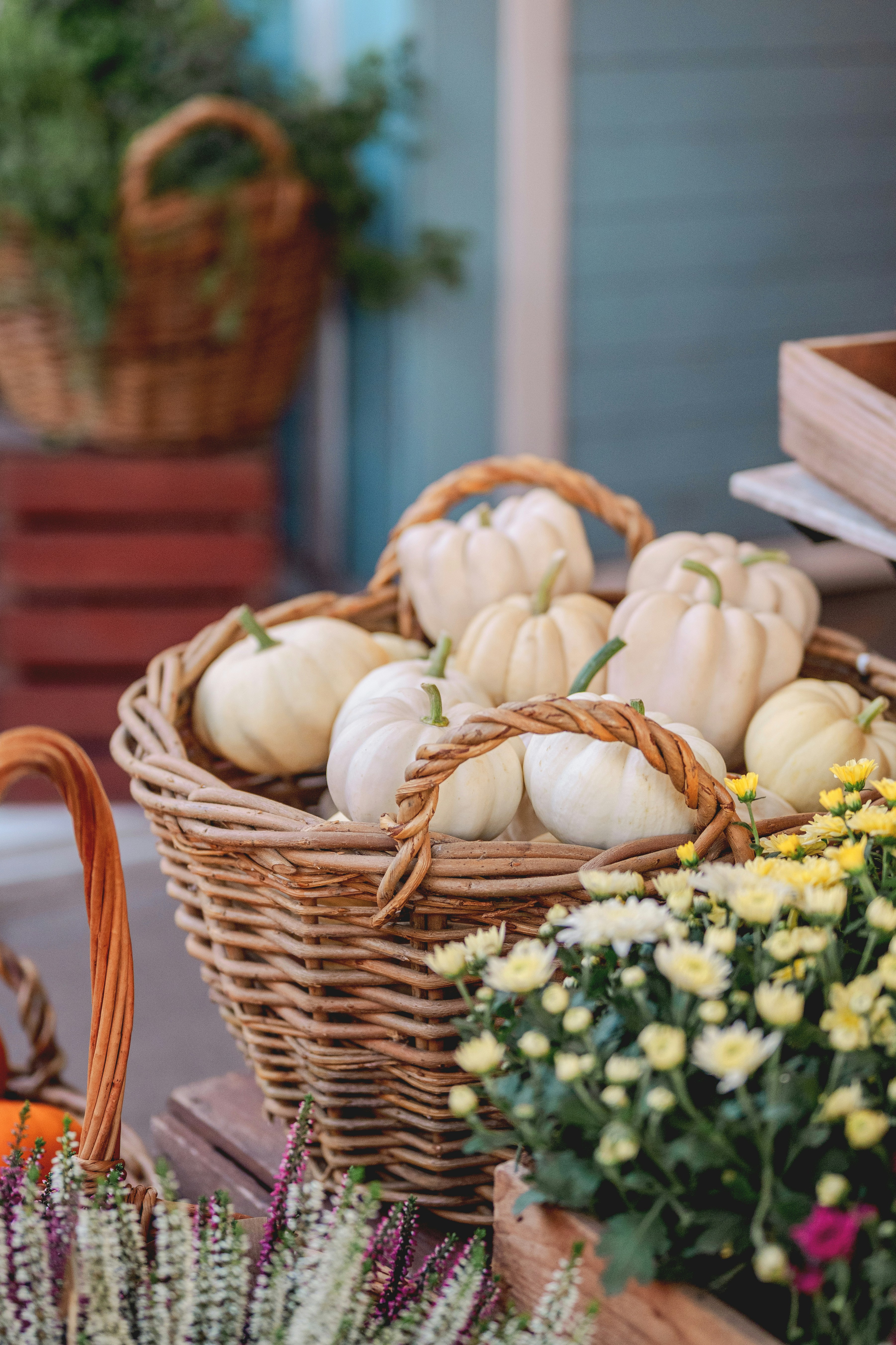Basket of Creamy Mini Pumpkins Framed by Autumn Flowers