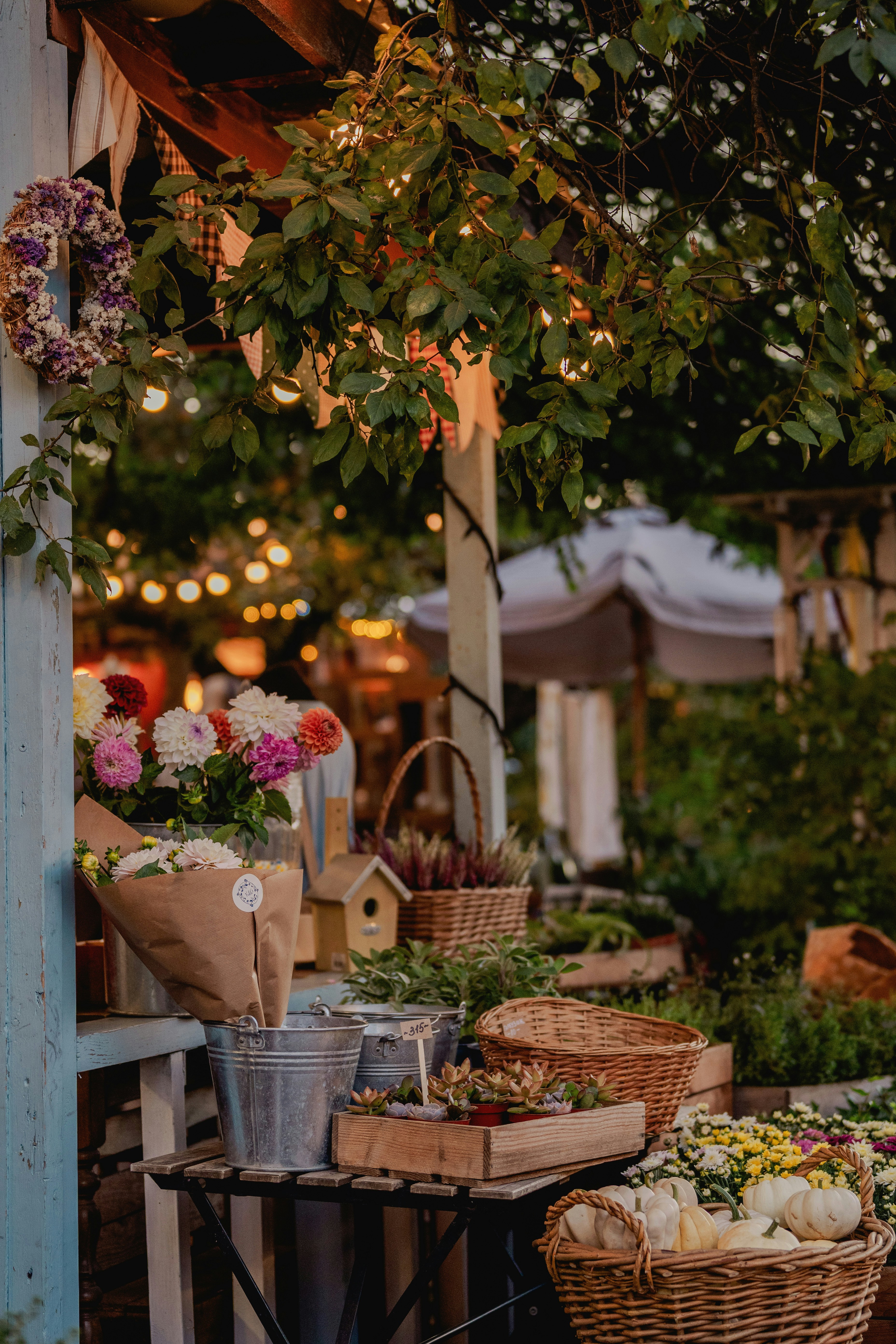 Market Lobelia: Autumn Flowers Under Fairy Lights