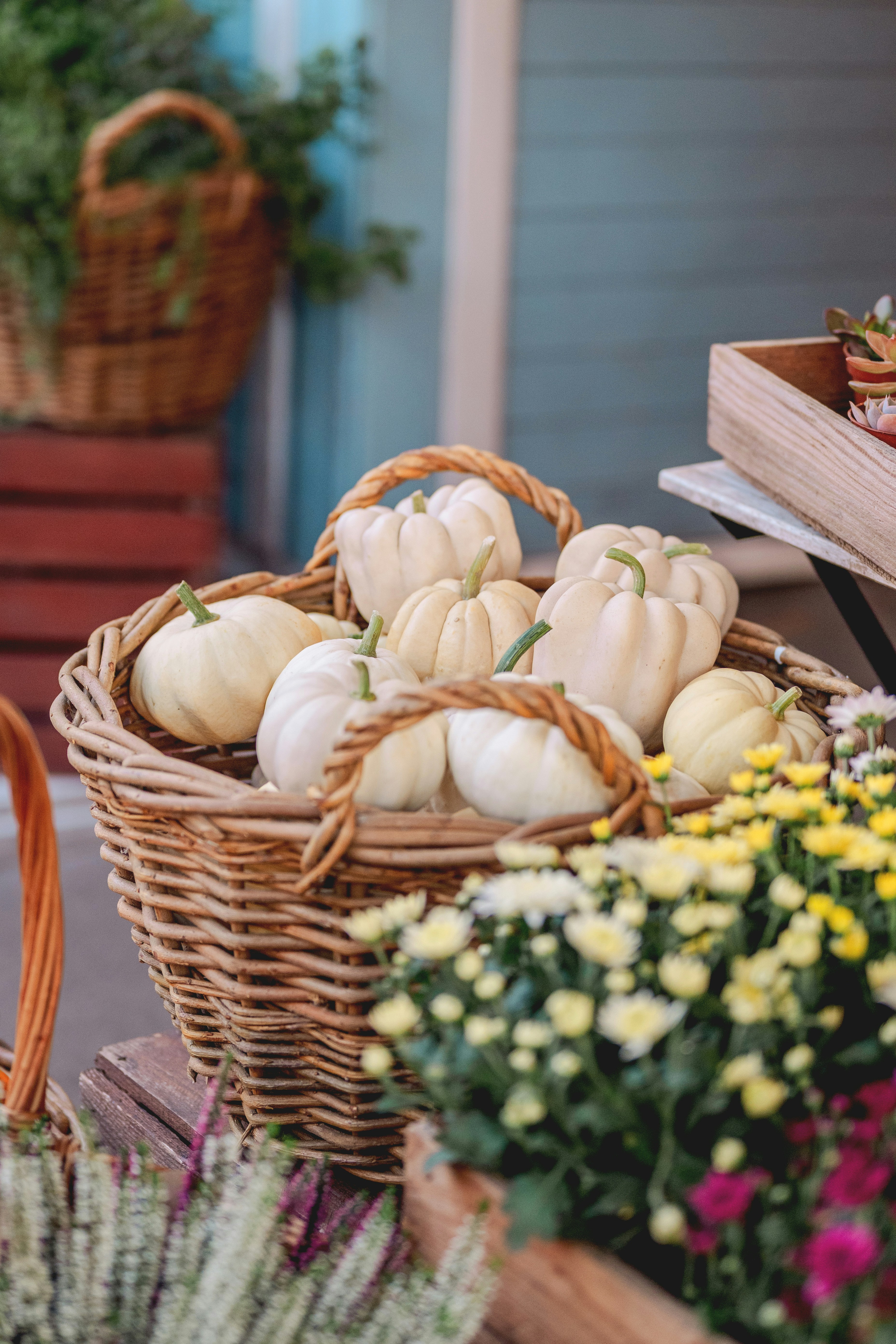Harvest Baskets: Cream pumpkins nestled among blooms at a cozy market stall