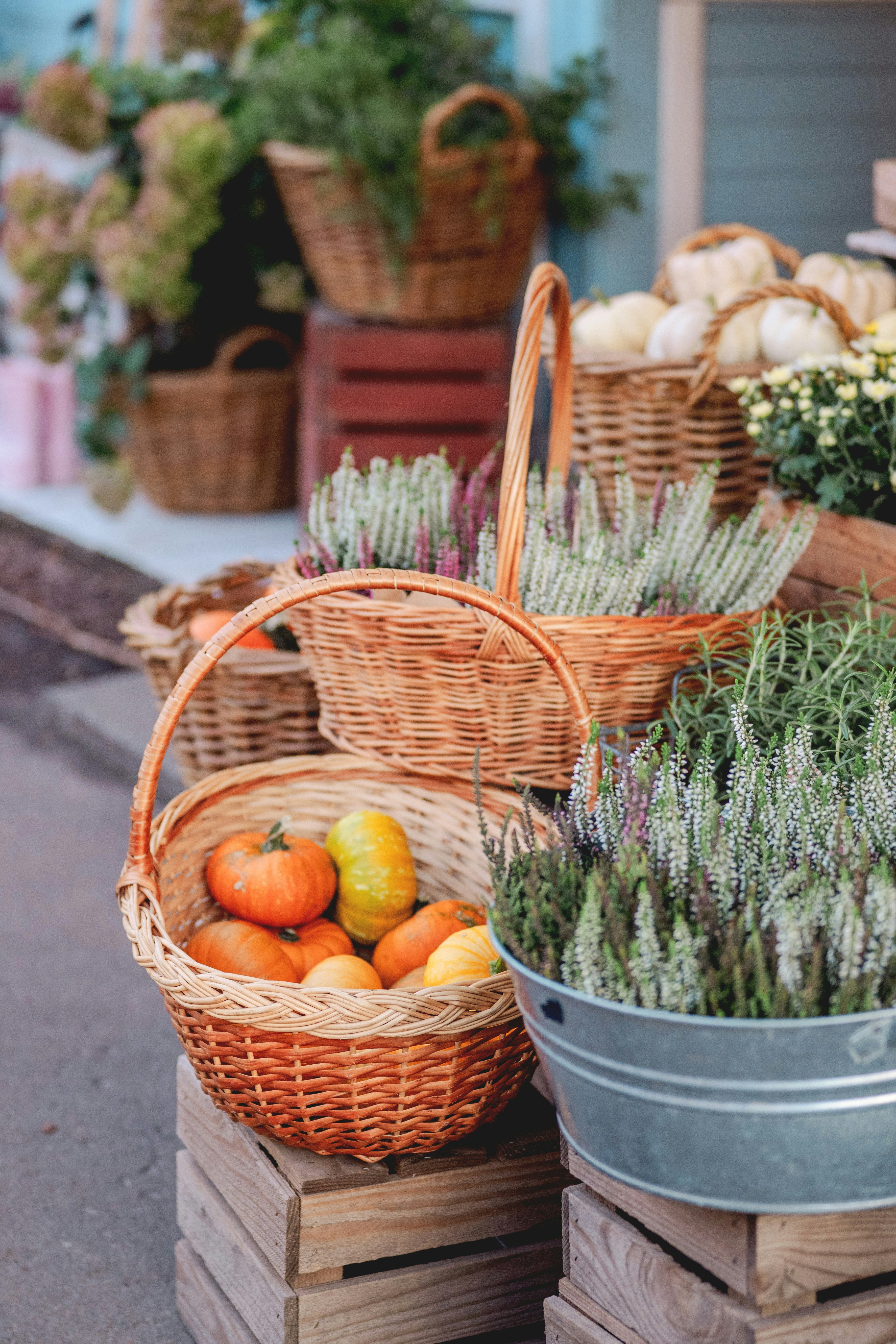 Autumn Harvest: A Quiet Corner of Market Baskets and Pumpkins