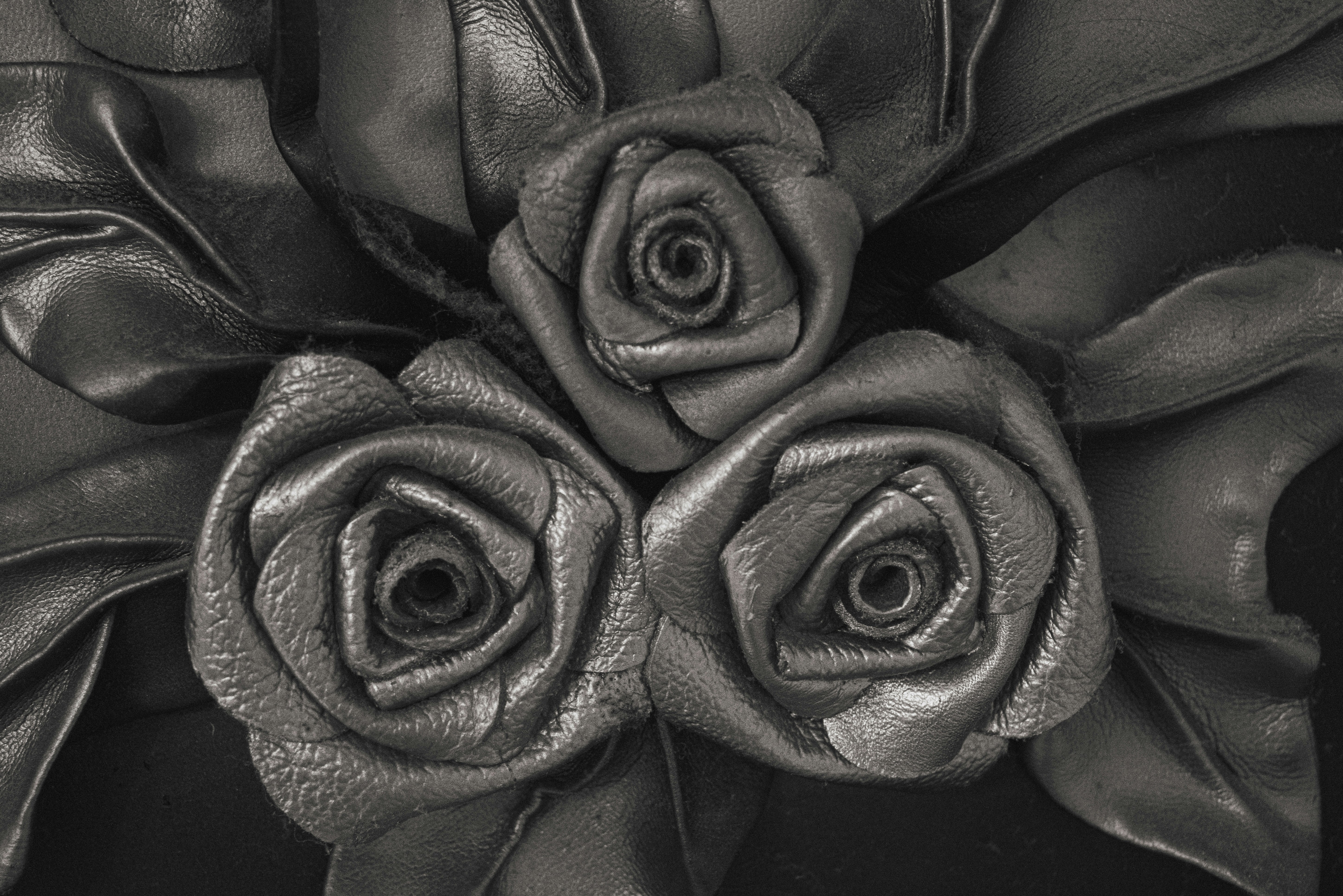 Velvet Roses in monochrome: sculpted petals in shadow