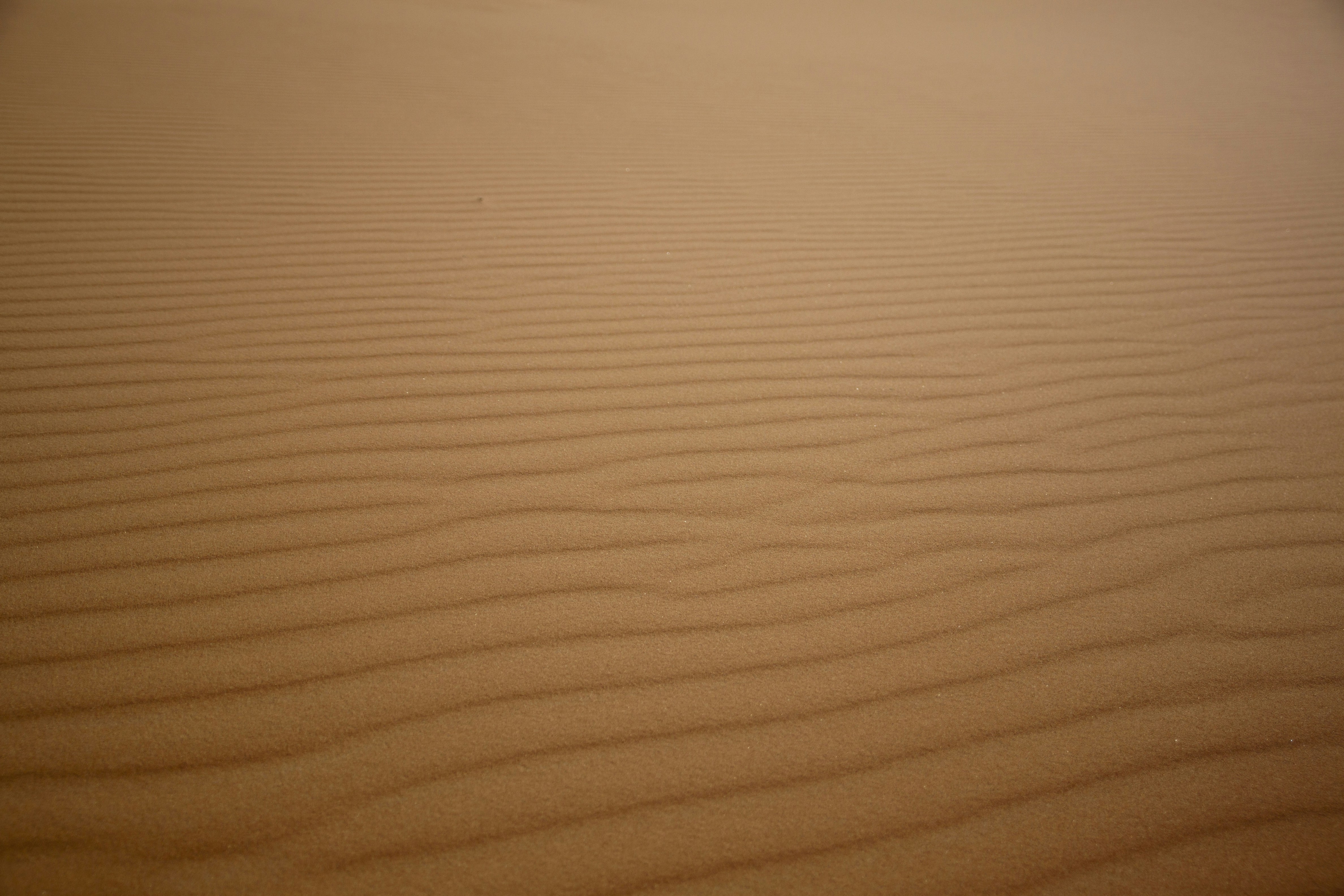 Ridge Lines: Rippled Desert Math in Warm Light
