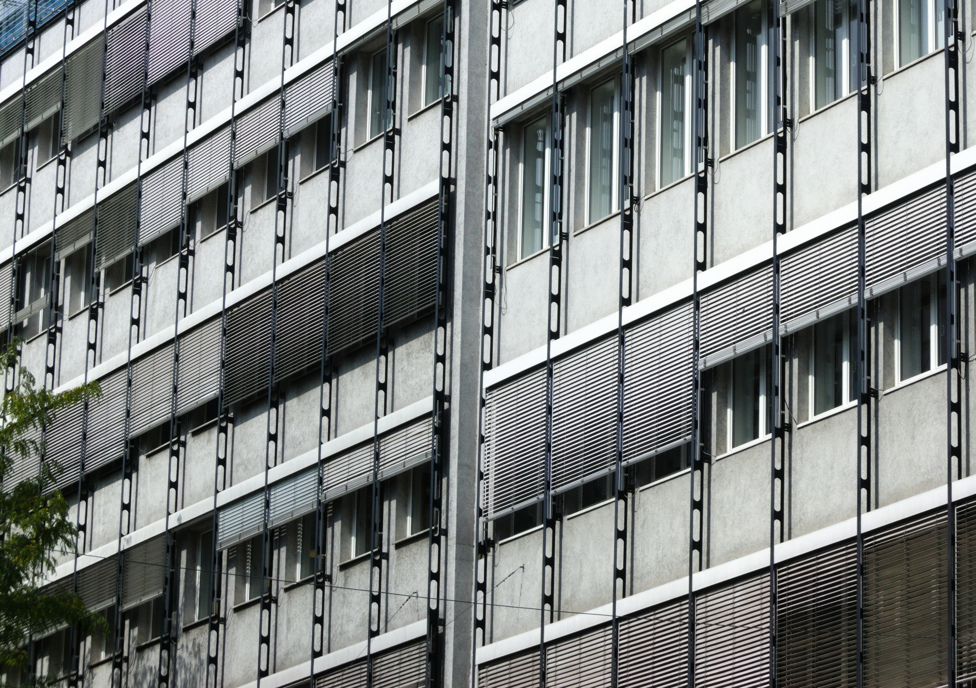 Gridlines in Motion: A Facade of Repeating Shadows