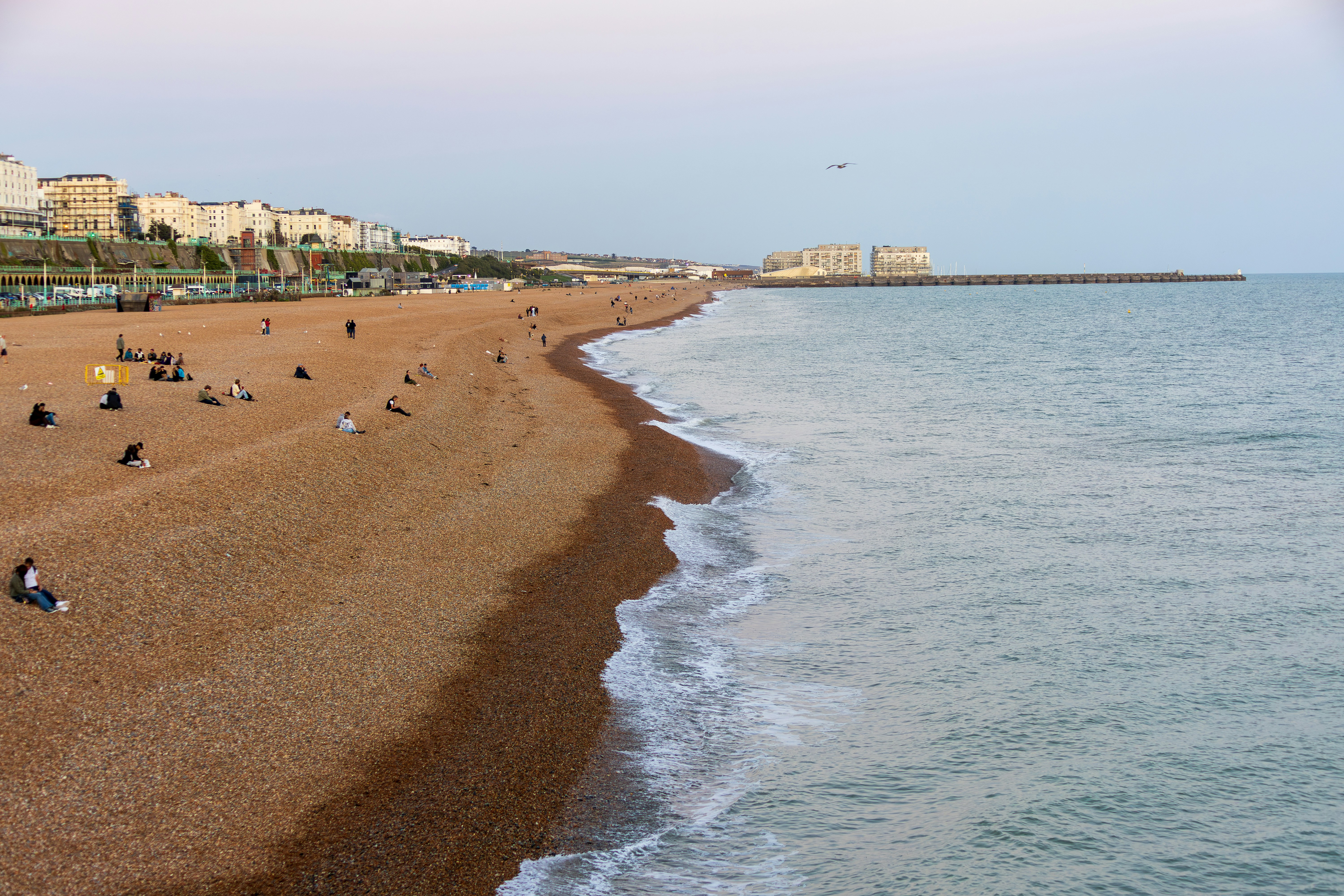 Seaside Promenade: A Quiet Strand Tumbling into the Horizon