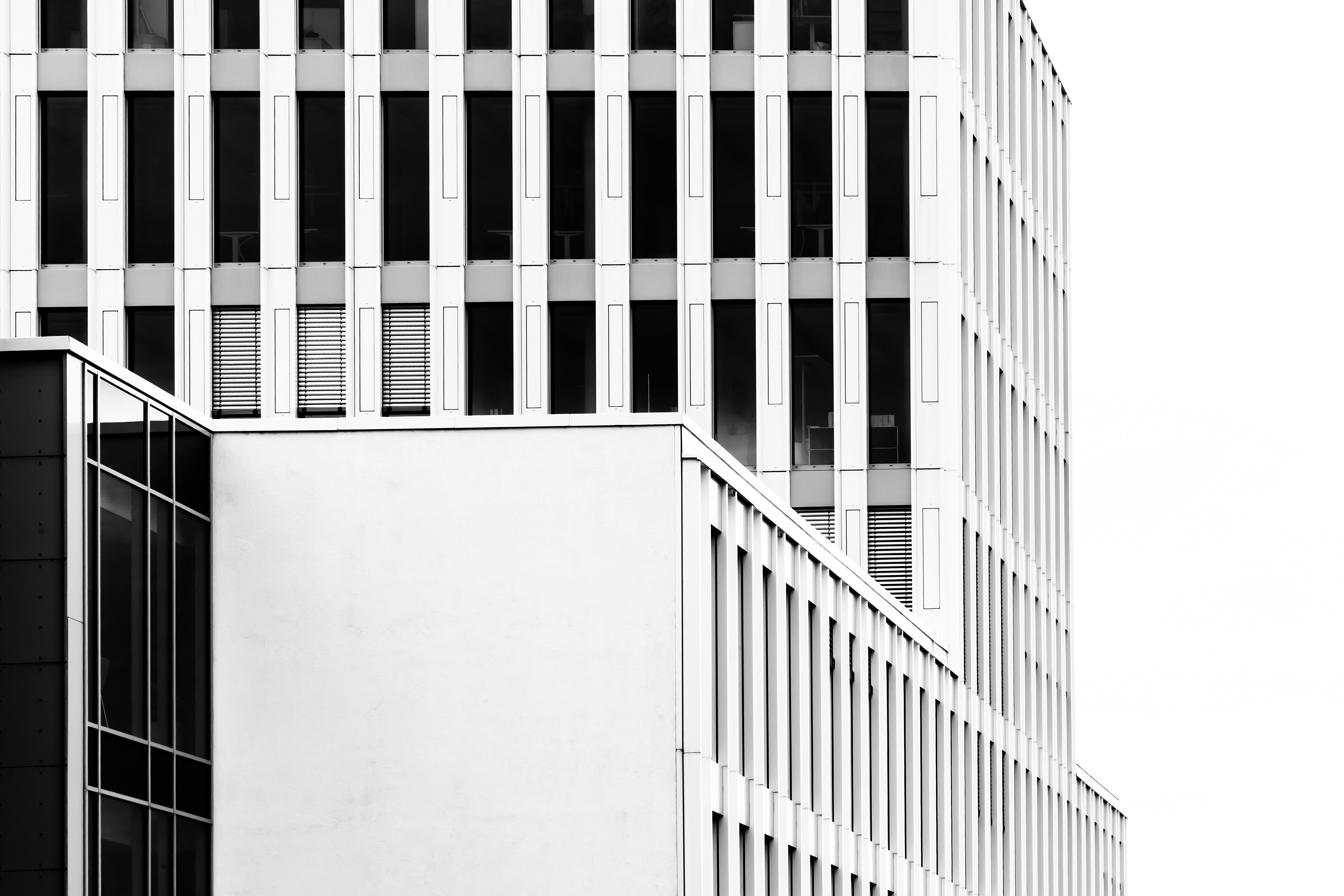 Architectural Lines Converge: A Monochrome Geometry of Modern Facades