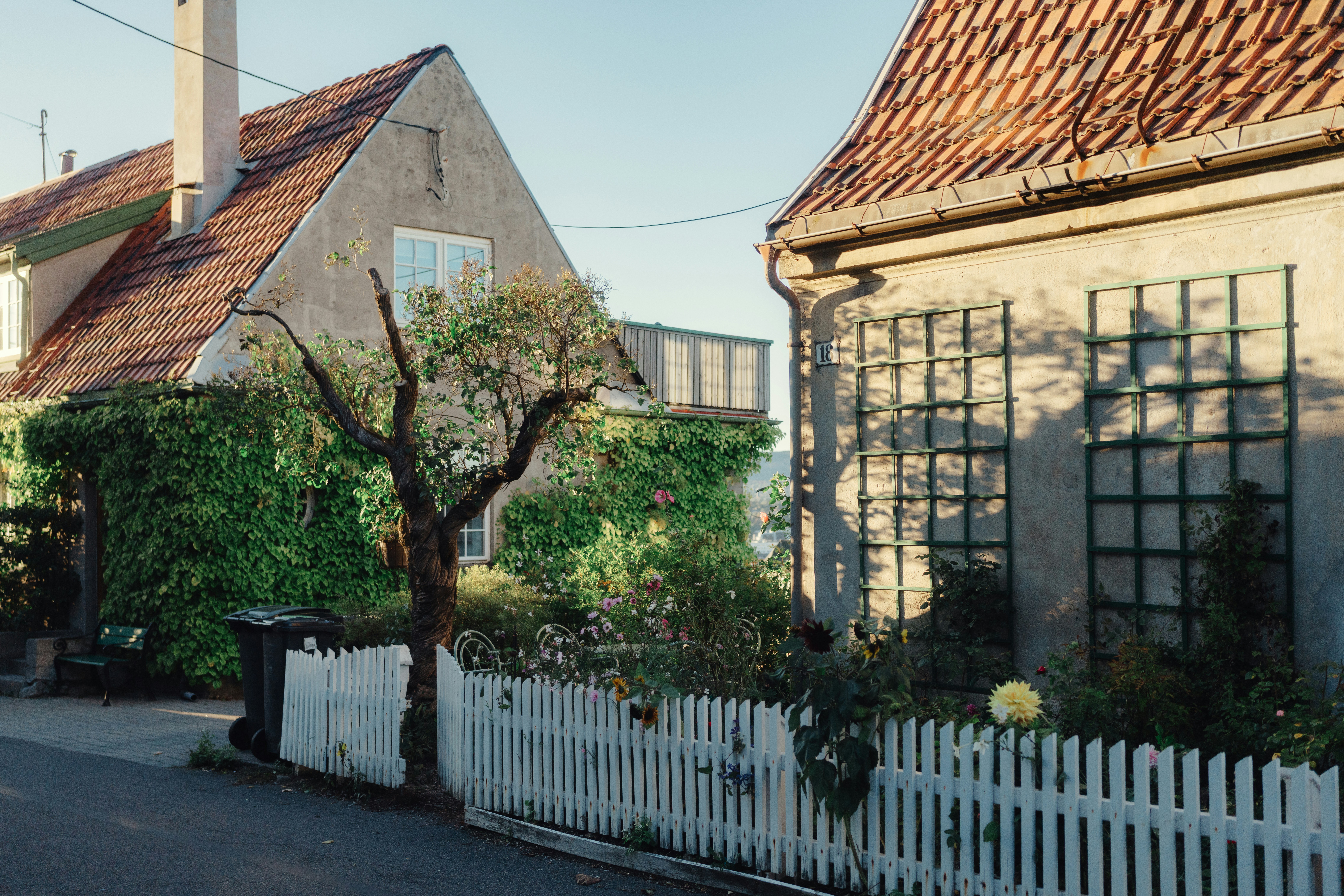 Sunlit Village Gate: A Quiet Corner with a Blossoming Tree