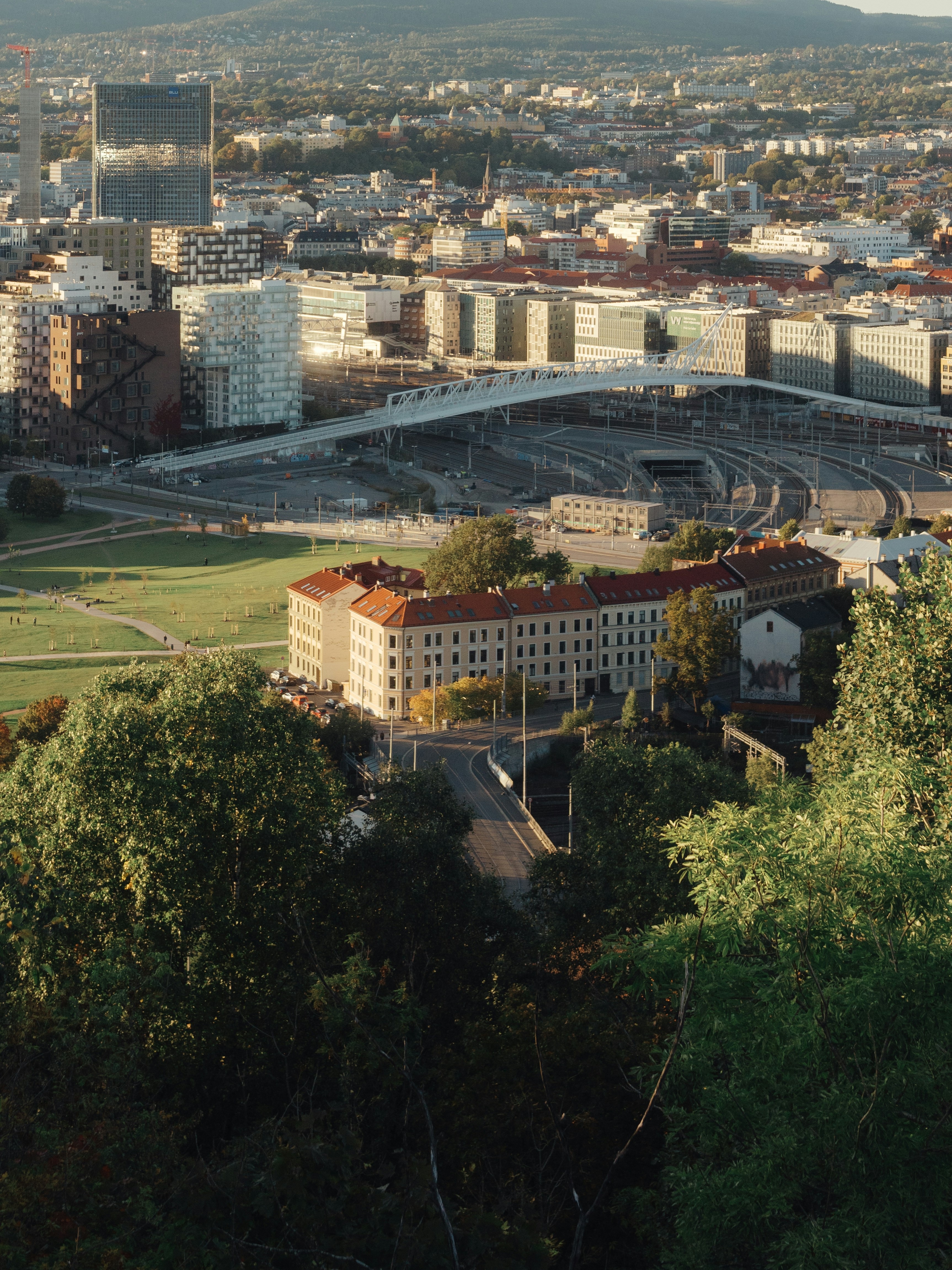 Overlooking the Iron Carrera: Cityscape and Monorail Arc