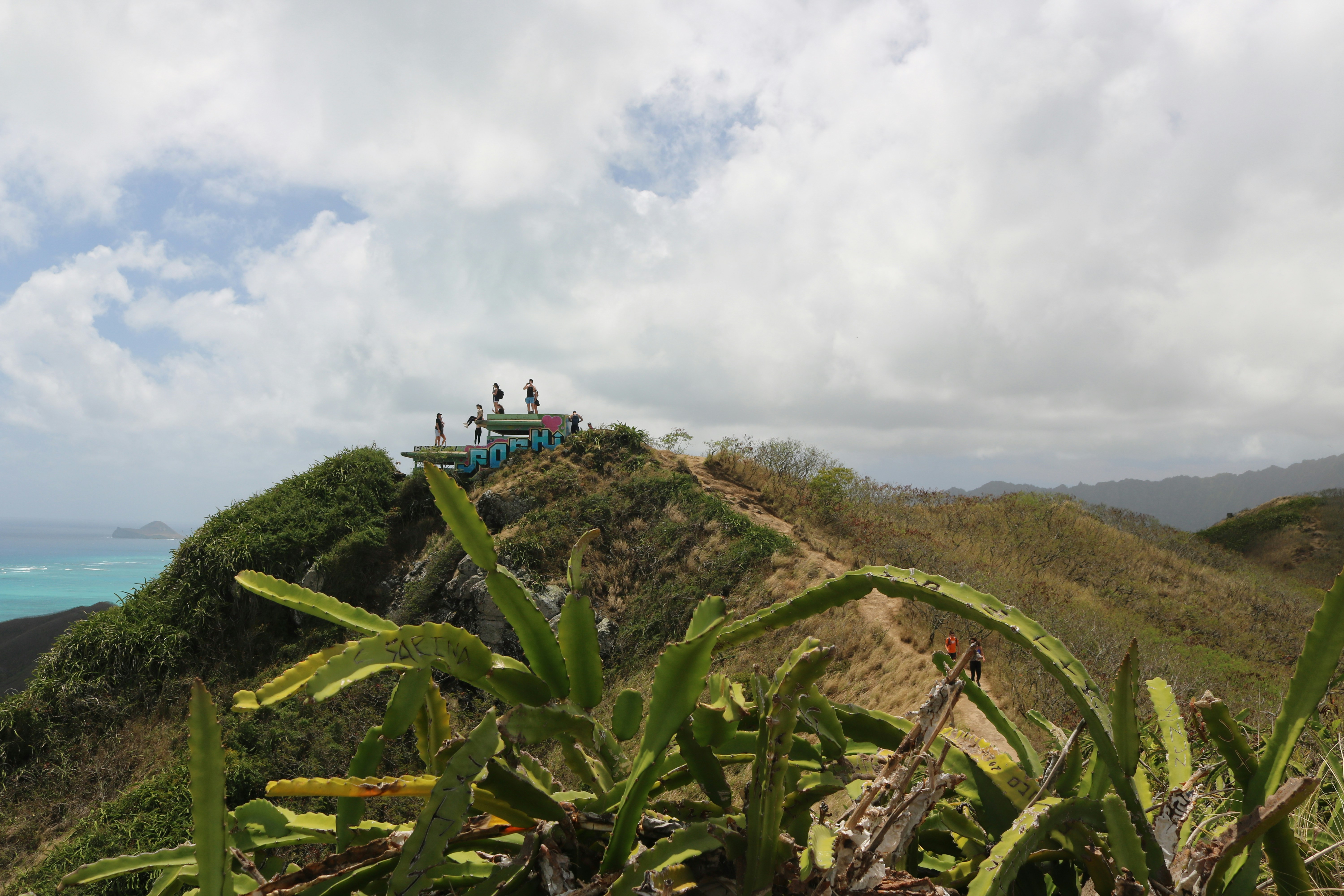 Clifftop Viewpoint with a Surfacing Cliffside Path