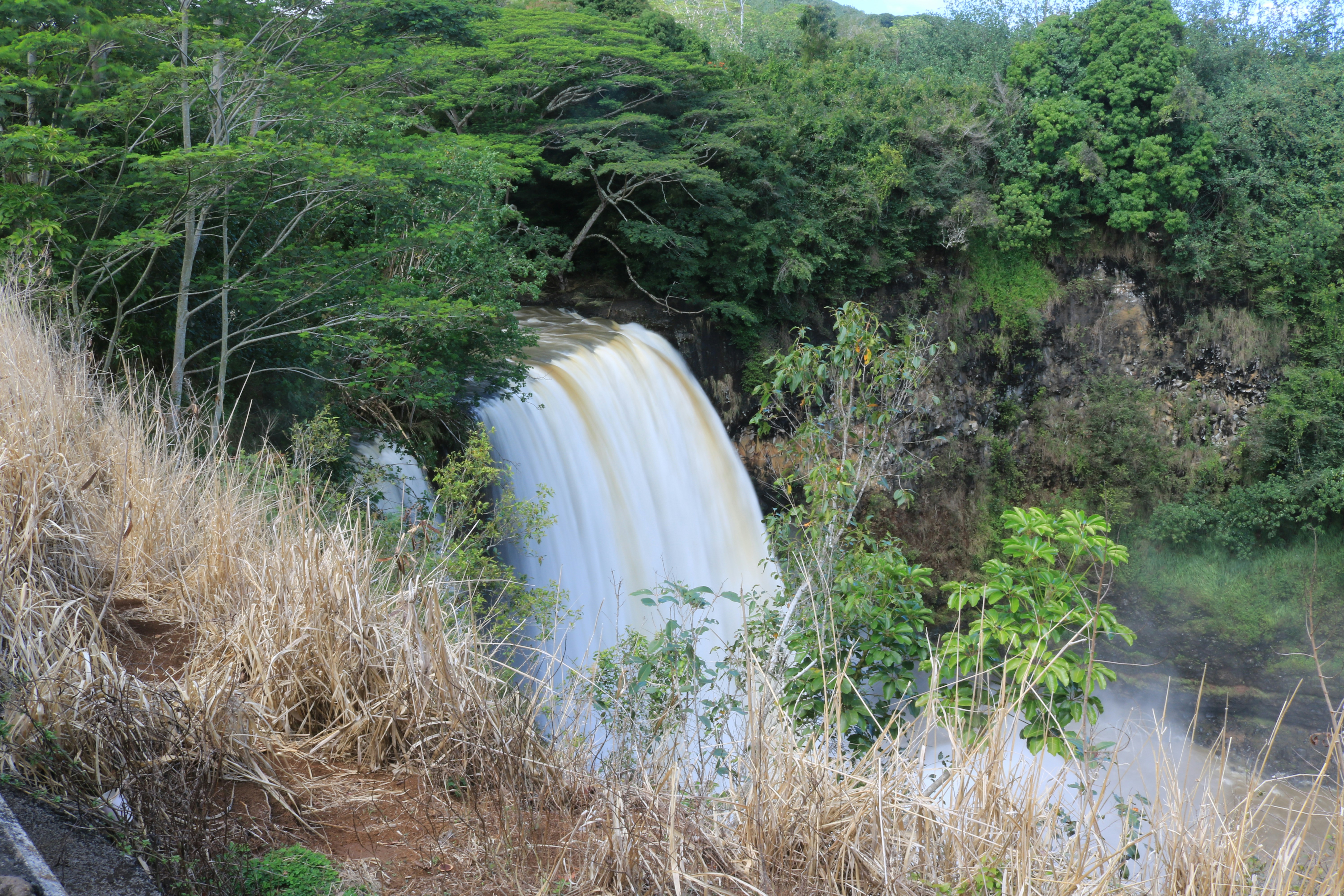 Soft Golden Veil Over a Cascading Falls