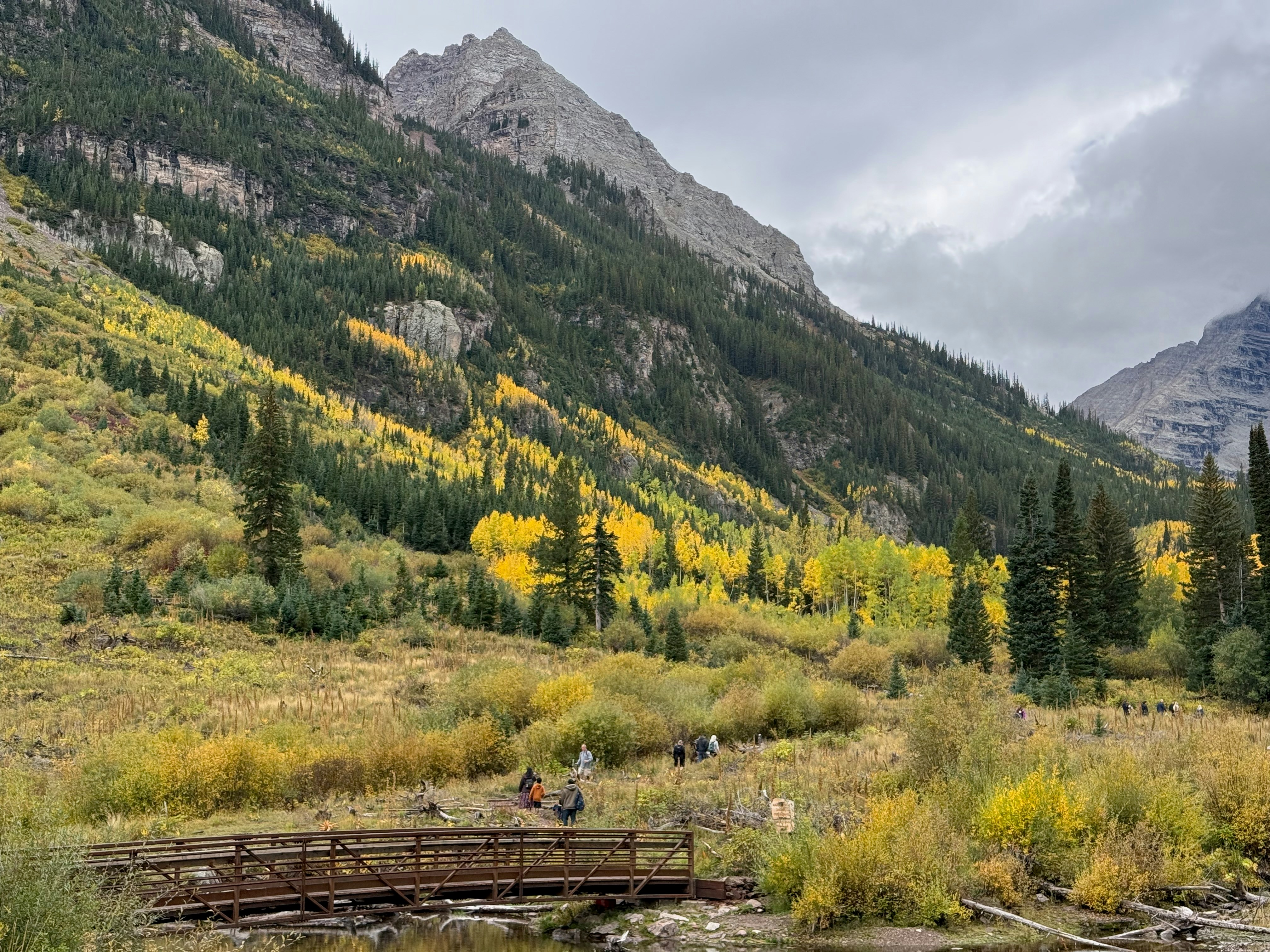Golden Conifer Ridge Overlook