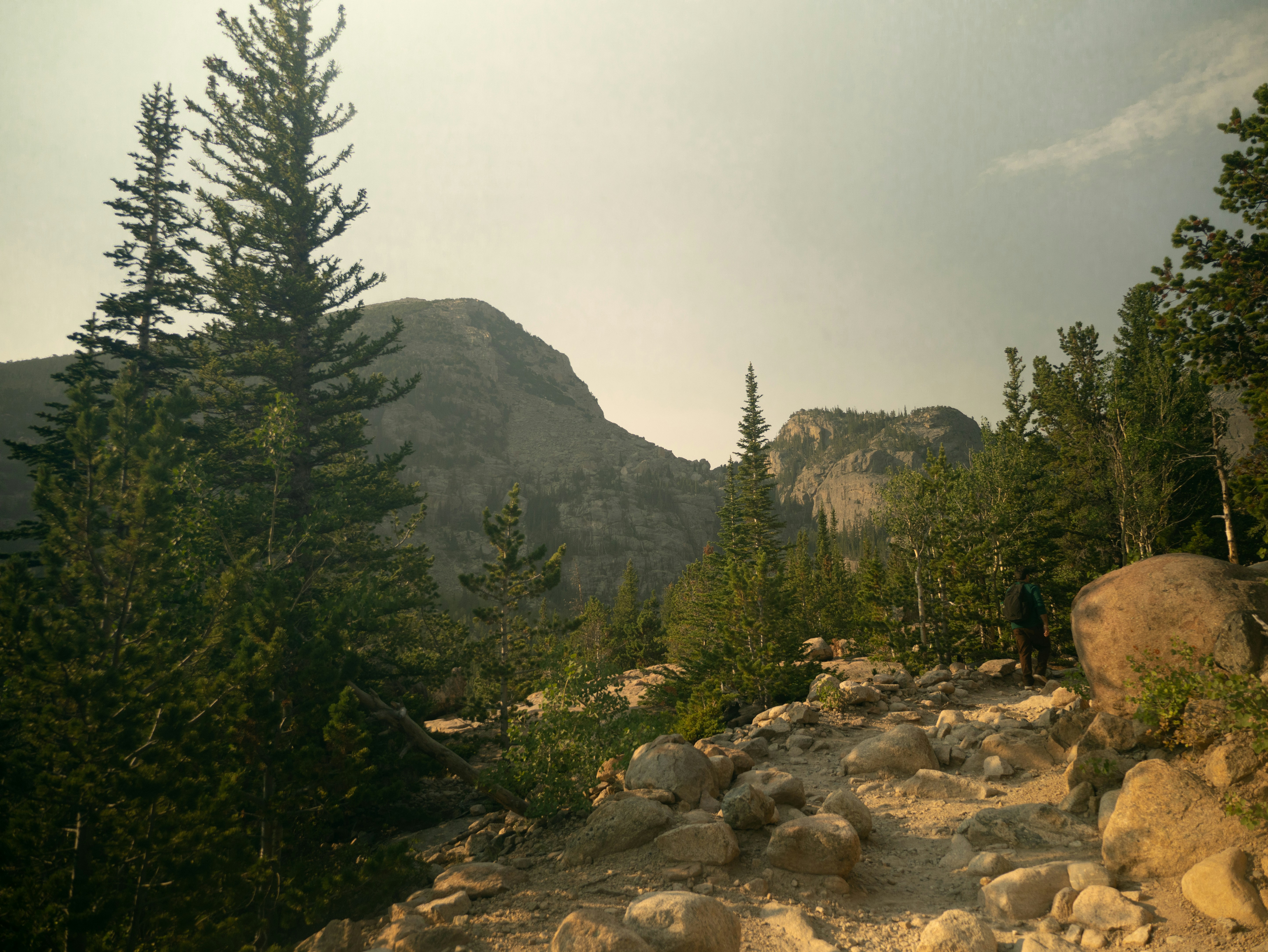 Trail to the Threshold: A Rocky Path Through Pines under a Quiet Peak