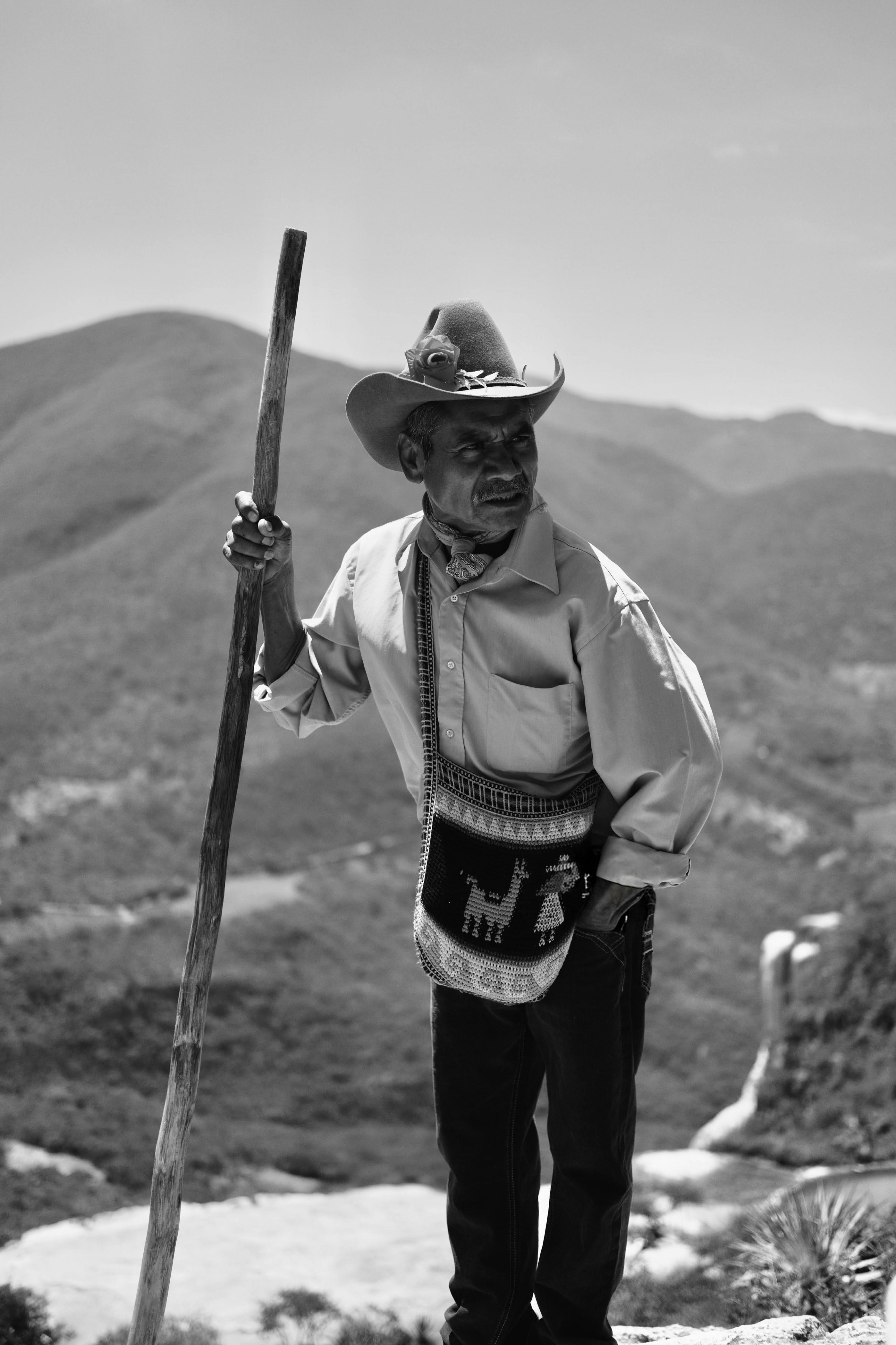 The Wanderer of the Ridge: A Lone Trailkeeper with a Standing Staff