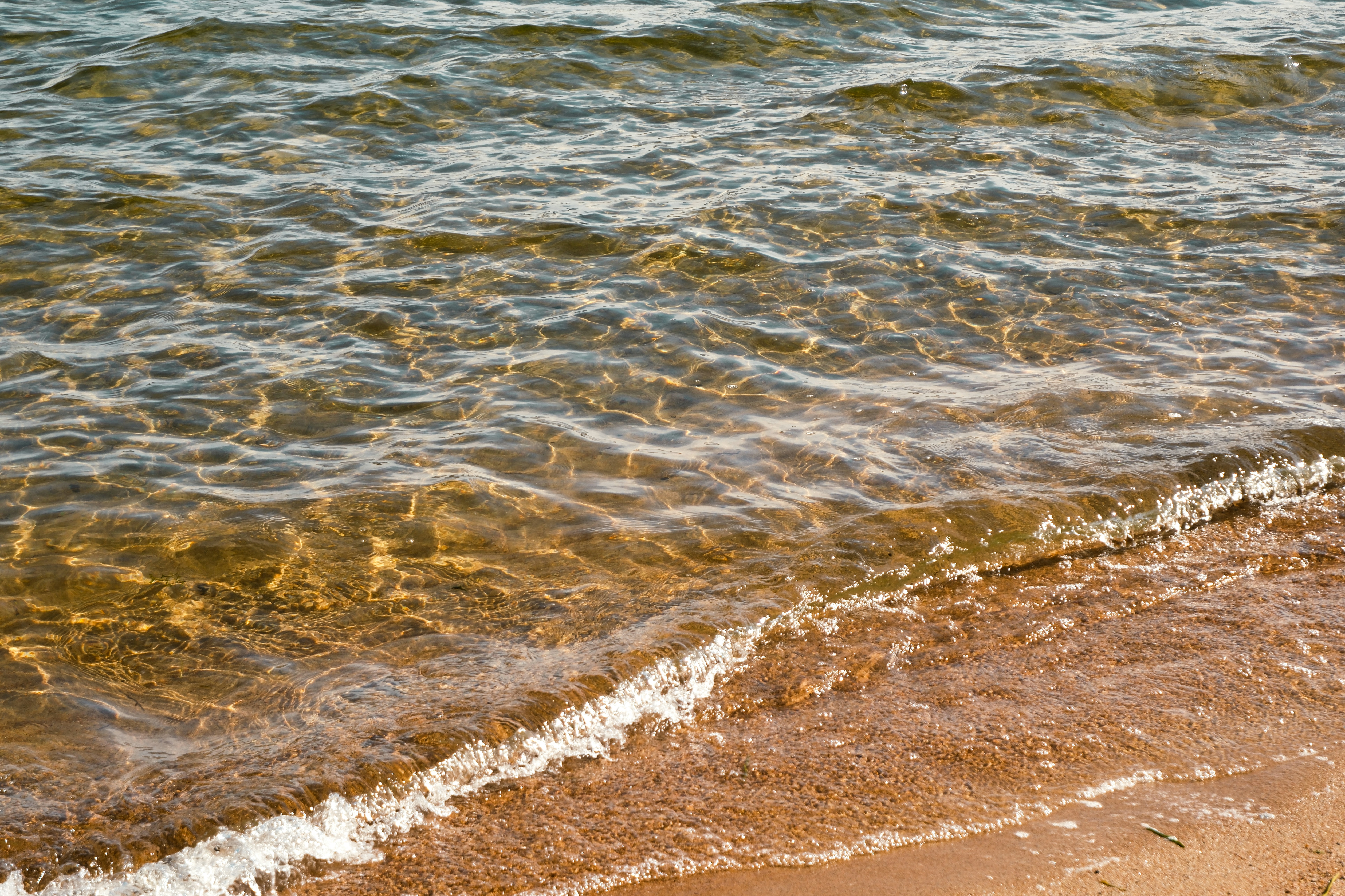 Golden Tides at the Quiet Shore
