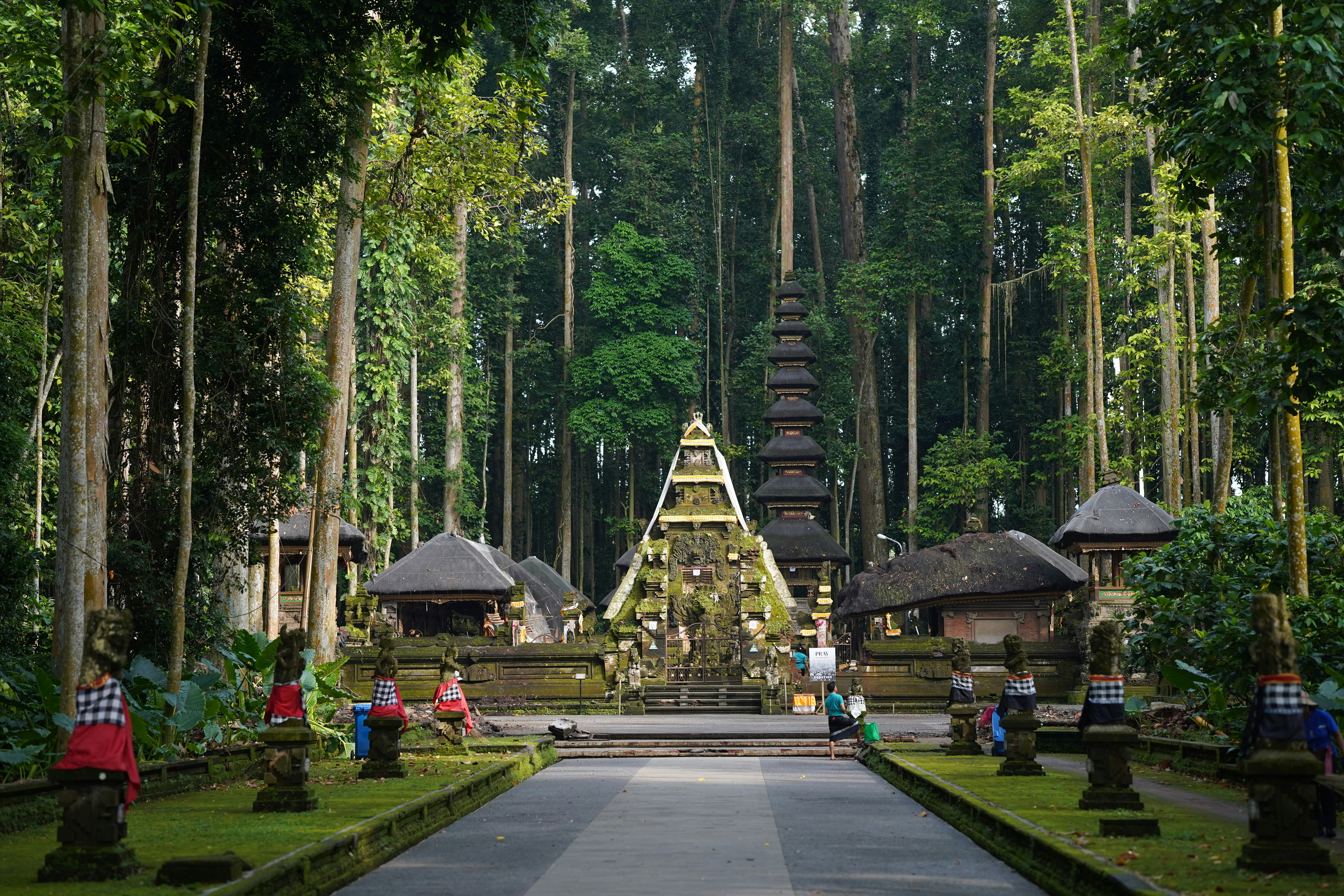 Symmetrical Temple Pathway Framed by Whispering Trees