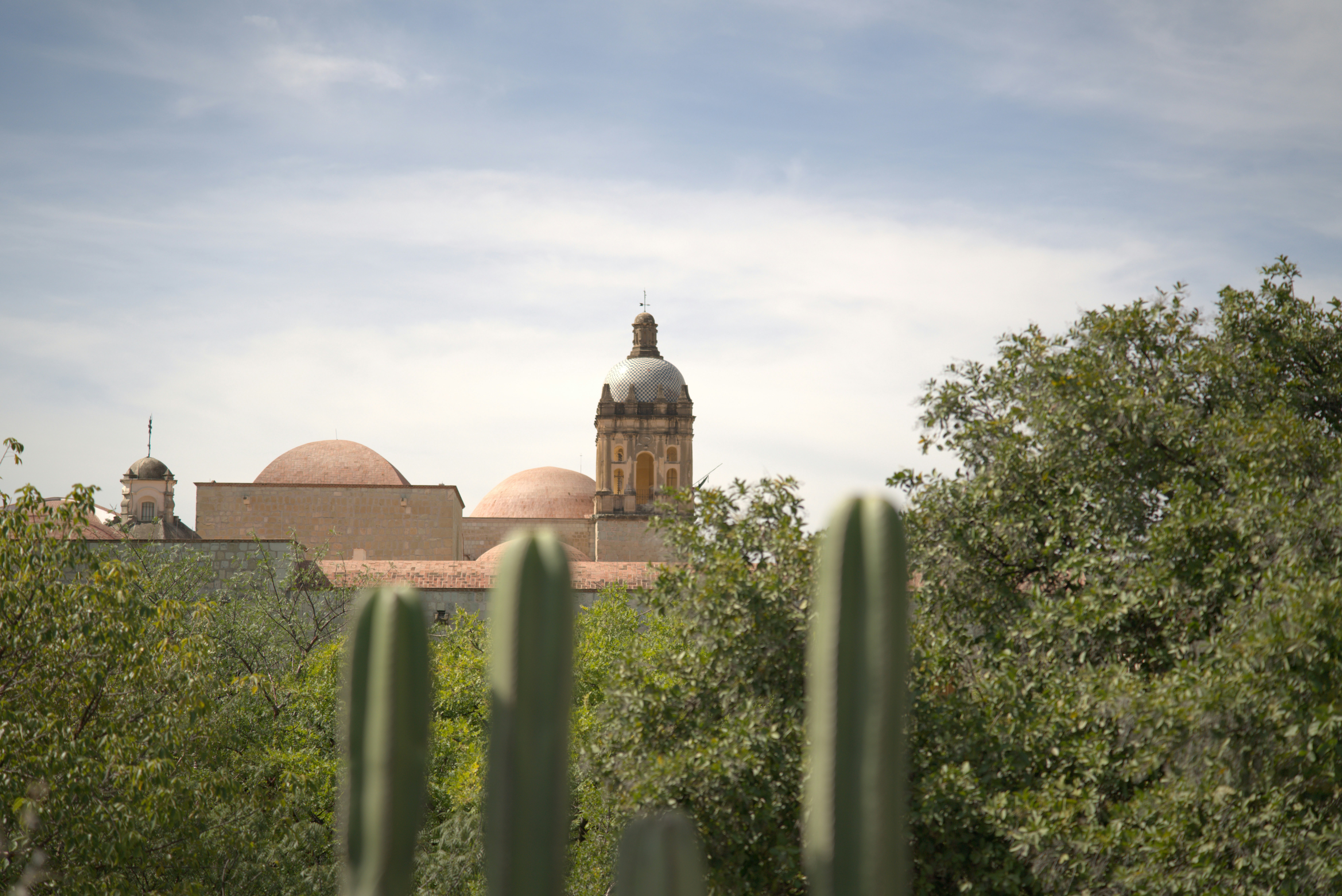 Distant Domes Beyond Desert Greens