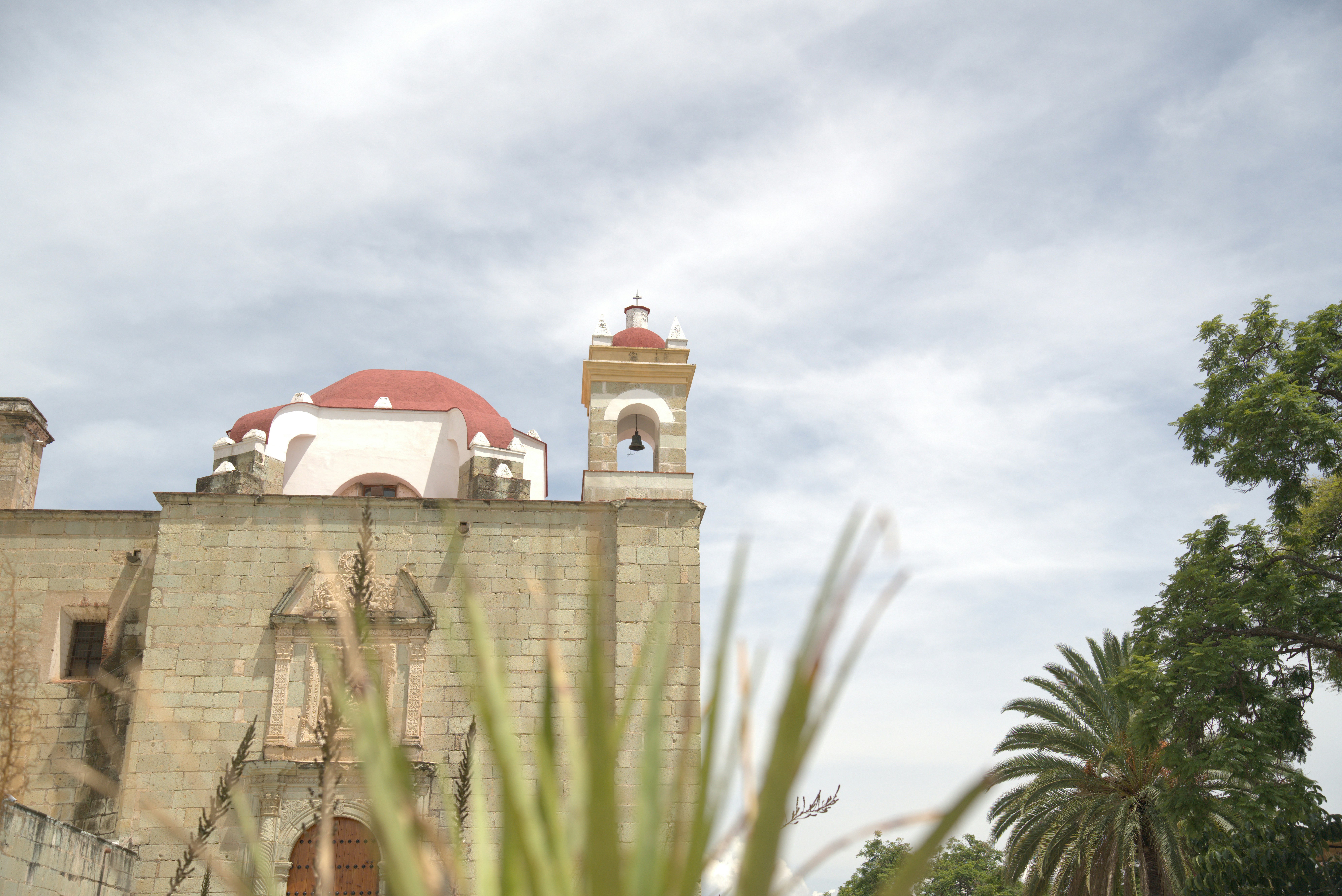 Distant Bell Tower Rising Above Palm Fronds