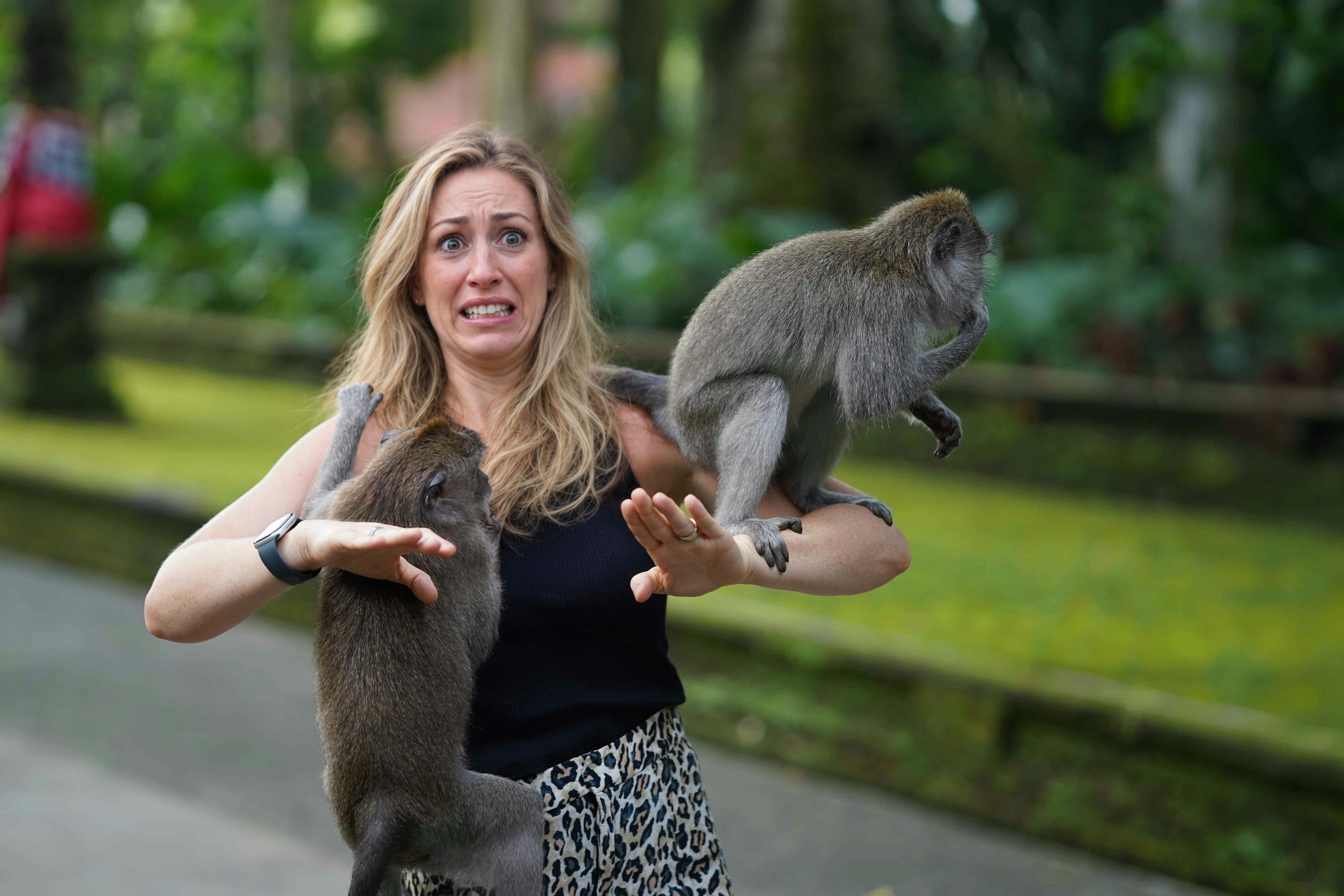 Wild Encounter: A Woman Struggles with Playful Monkeys
