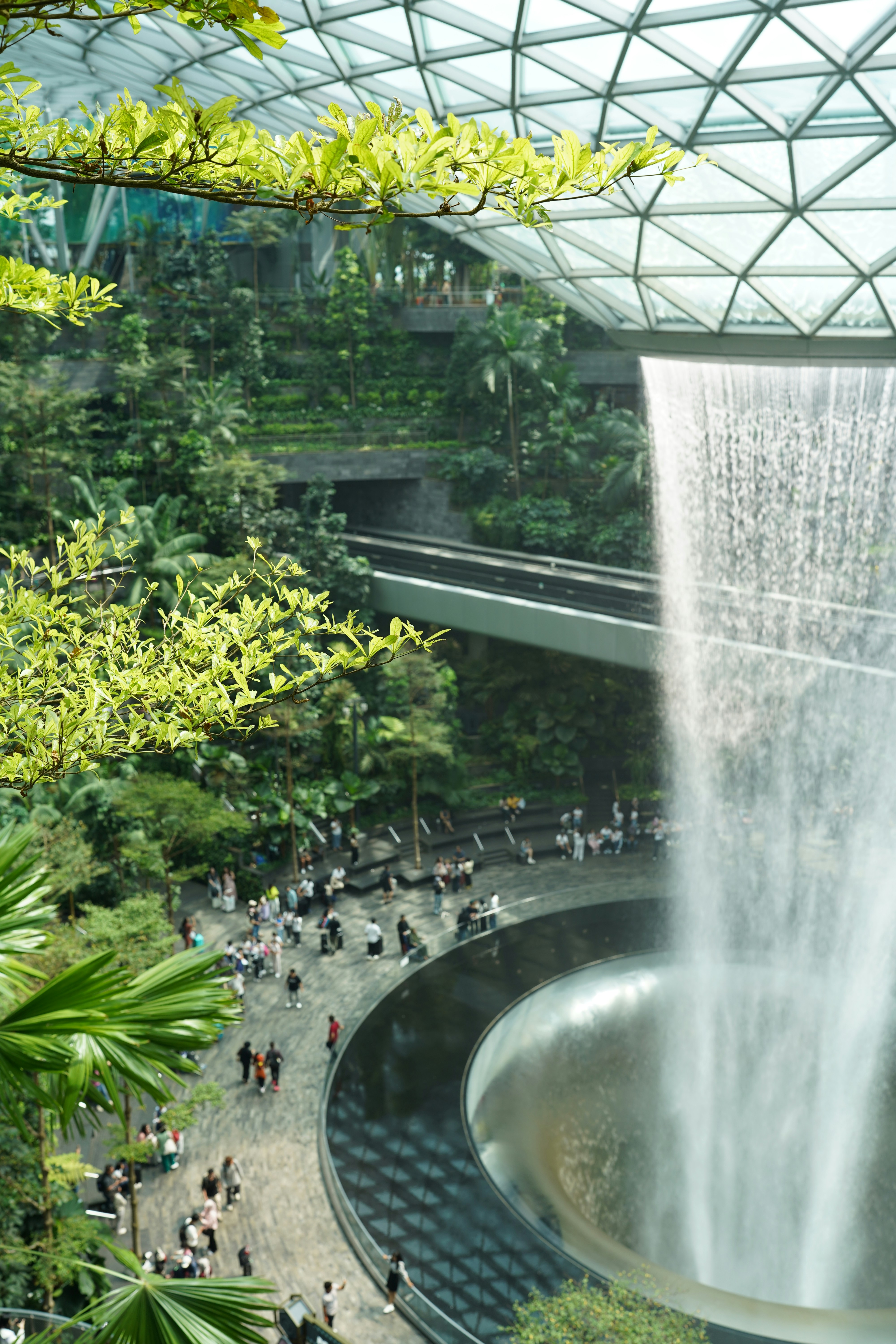 Vertical Cascade at Jewel: Aerial Garden and Ringed Fountain