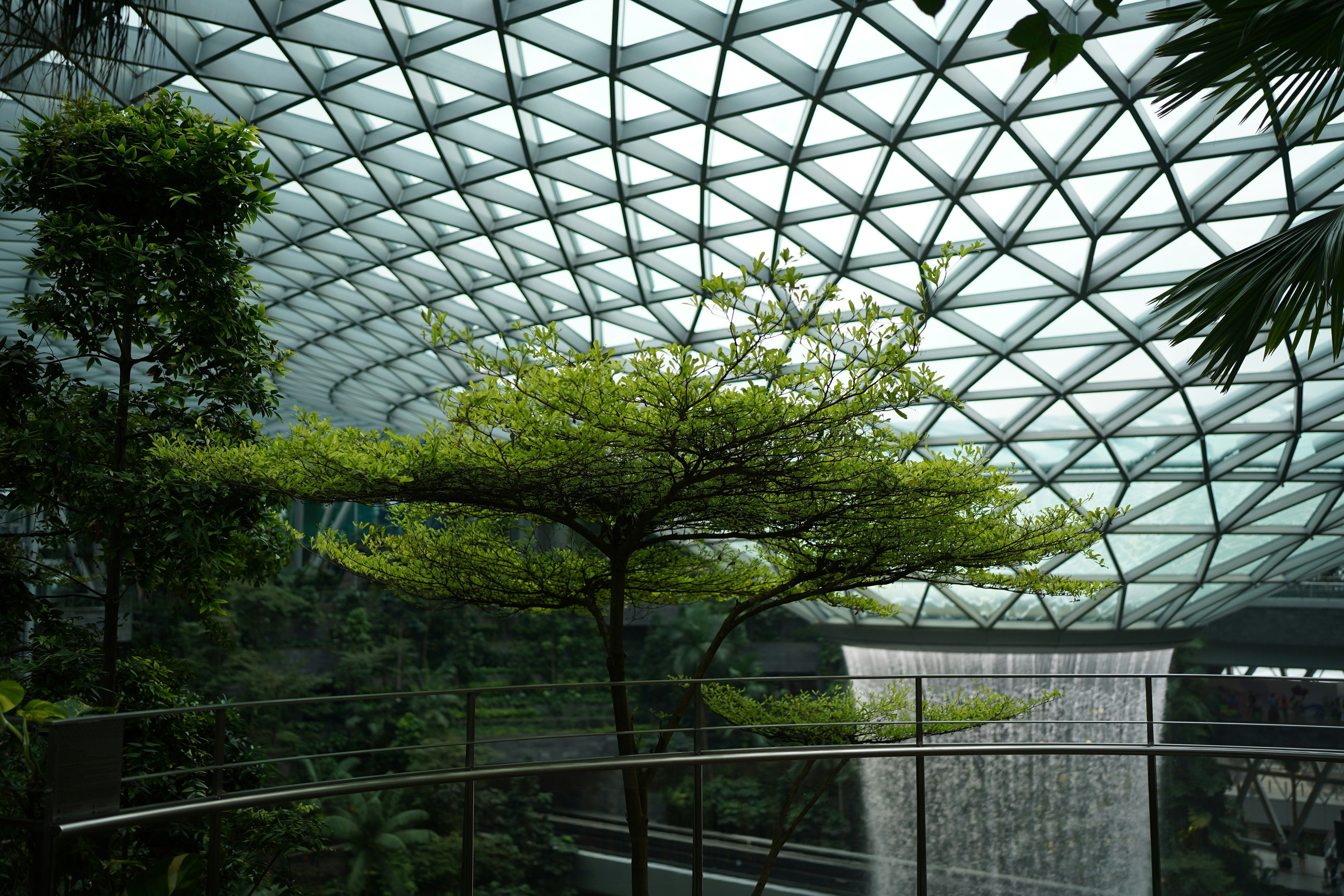 Verdant oasis beneath a glass lattice