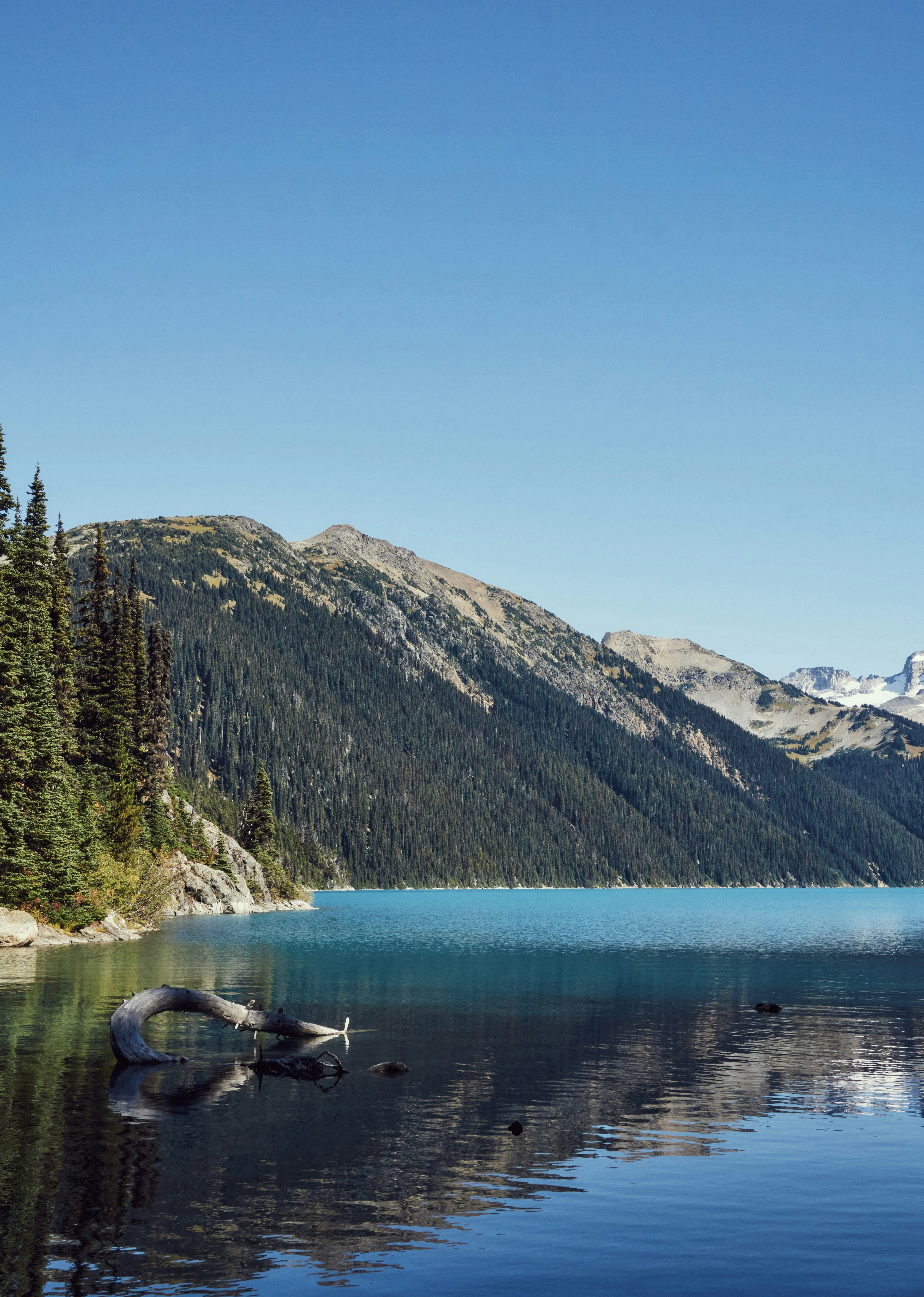 Glacial Lake Silhouette: Trees, Peaks, and a Silent Driftwood Ring
