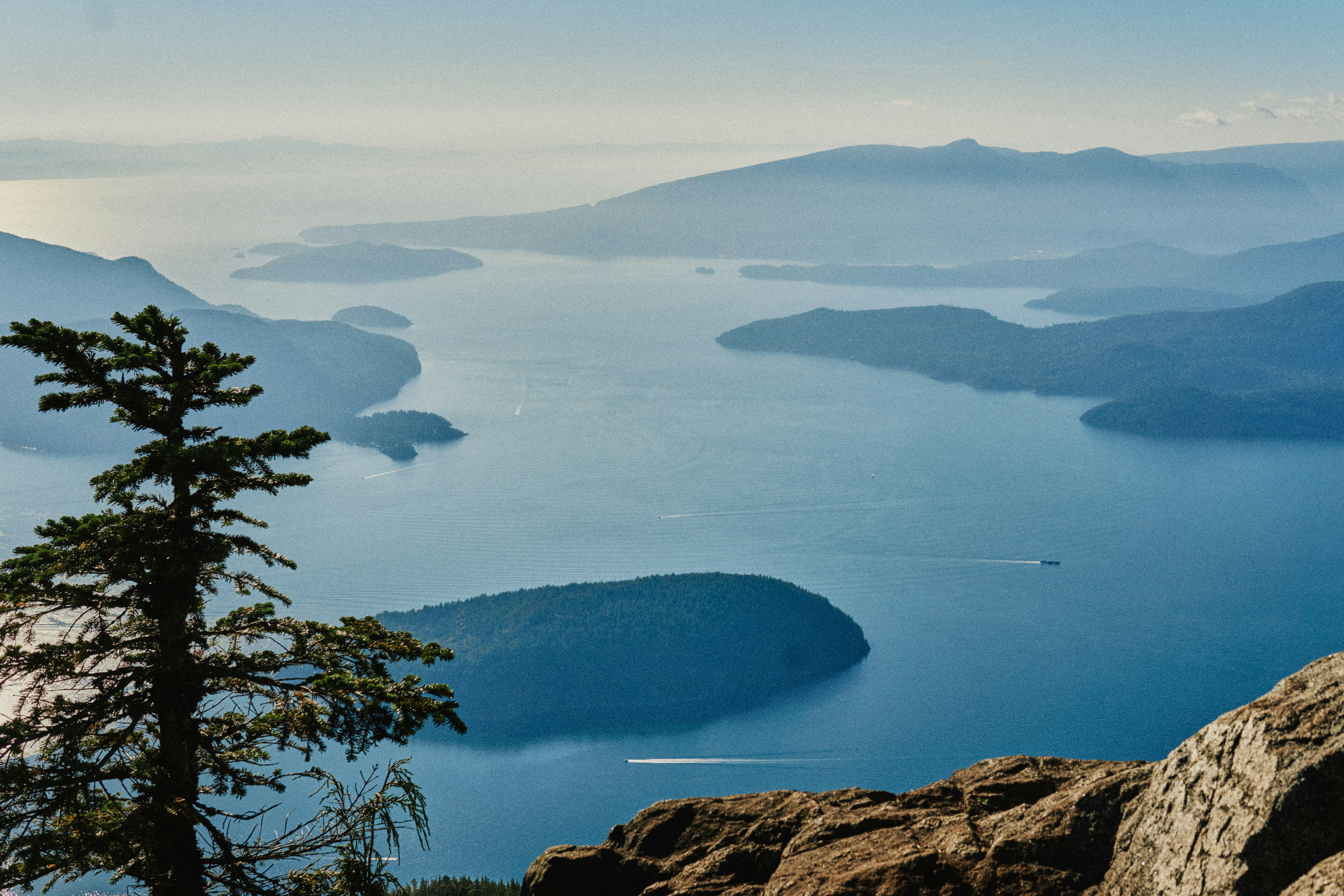 Edge of the World: A Coastal Rock Overlook Framed by Pines