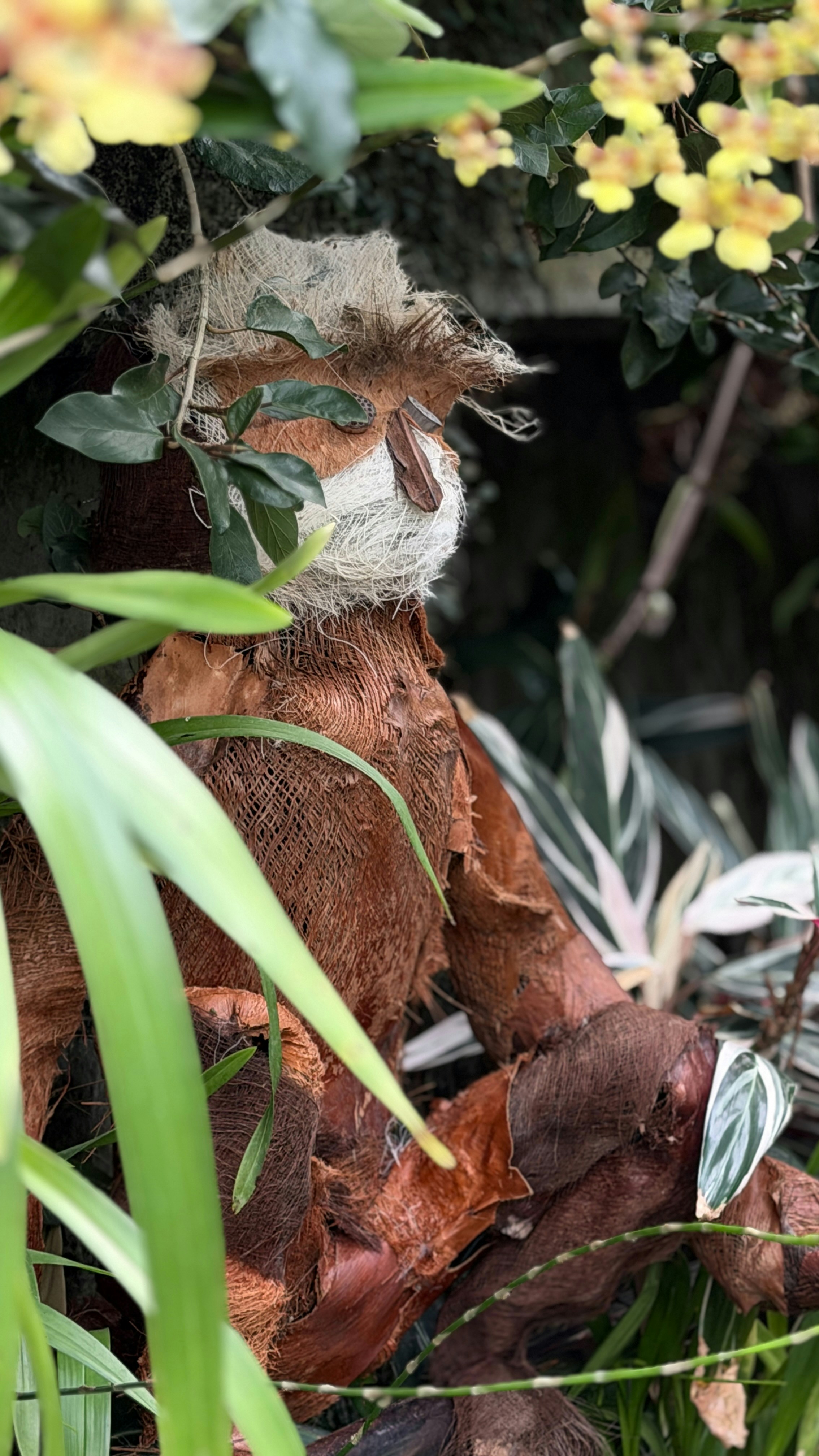 Mossy Monolith: A Closer Look at Weathered Wood and Vines