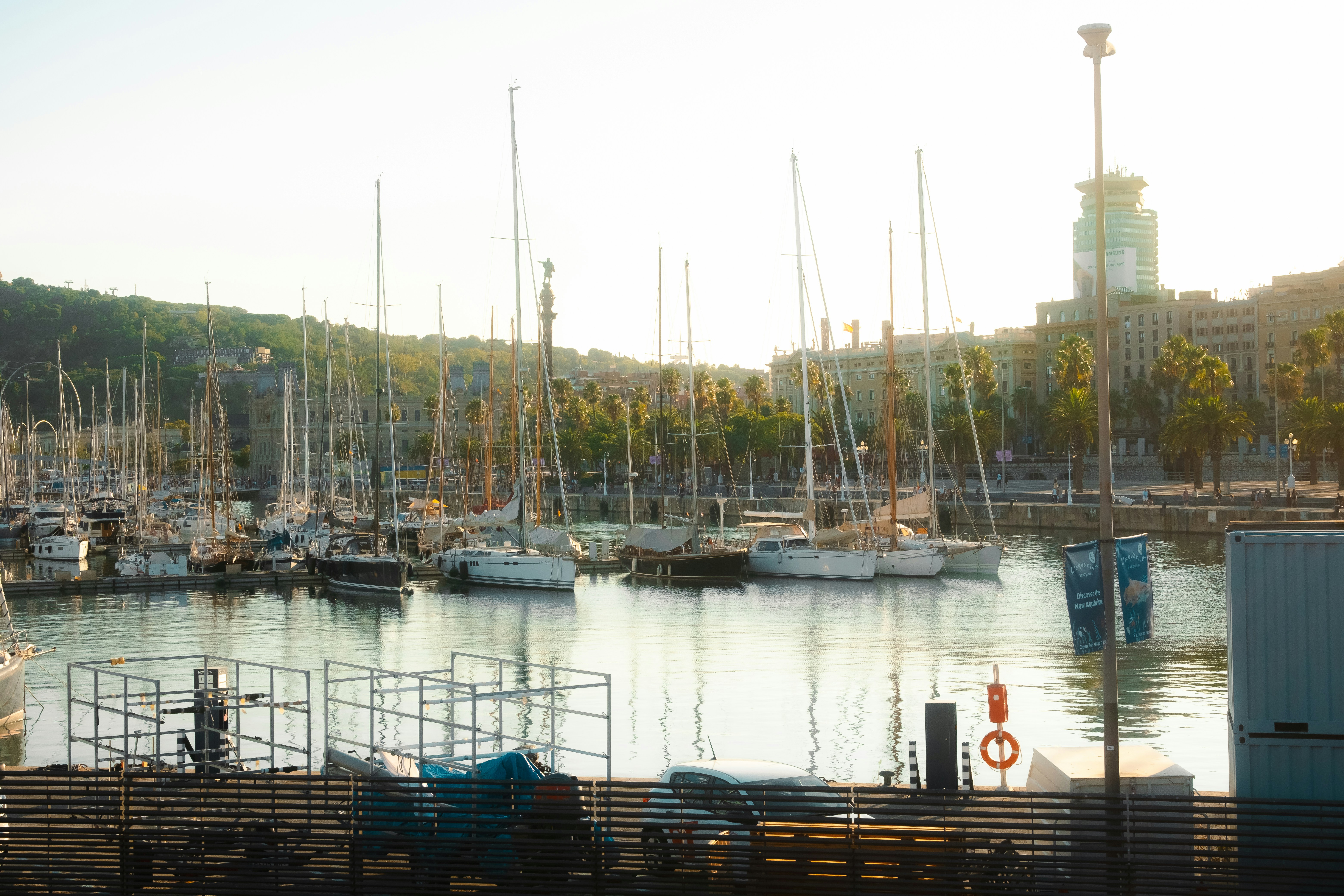 Harbor Silhouettes at Soft Evening Light