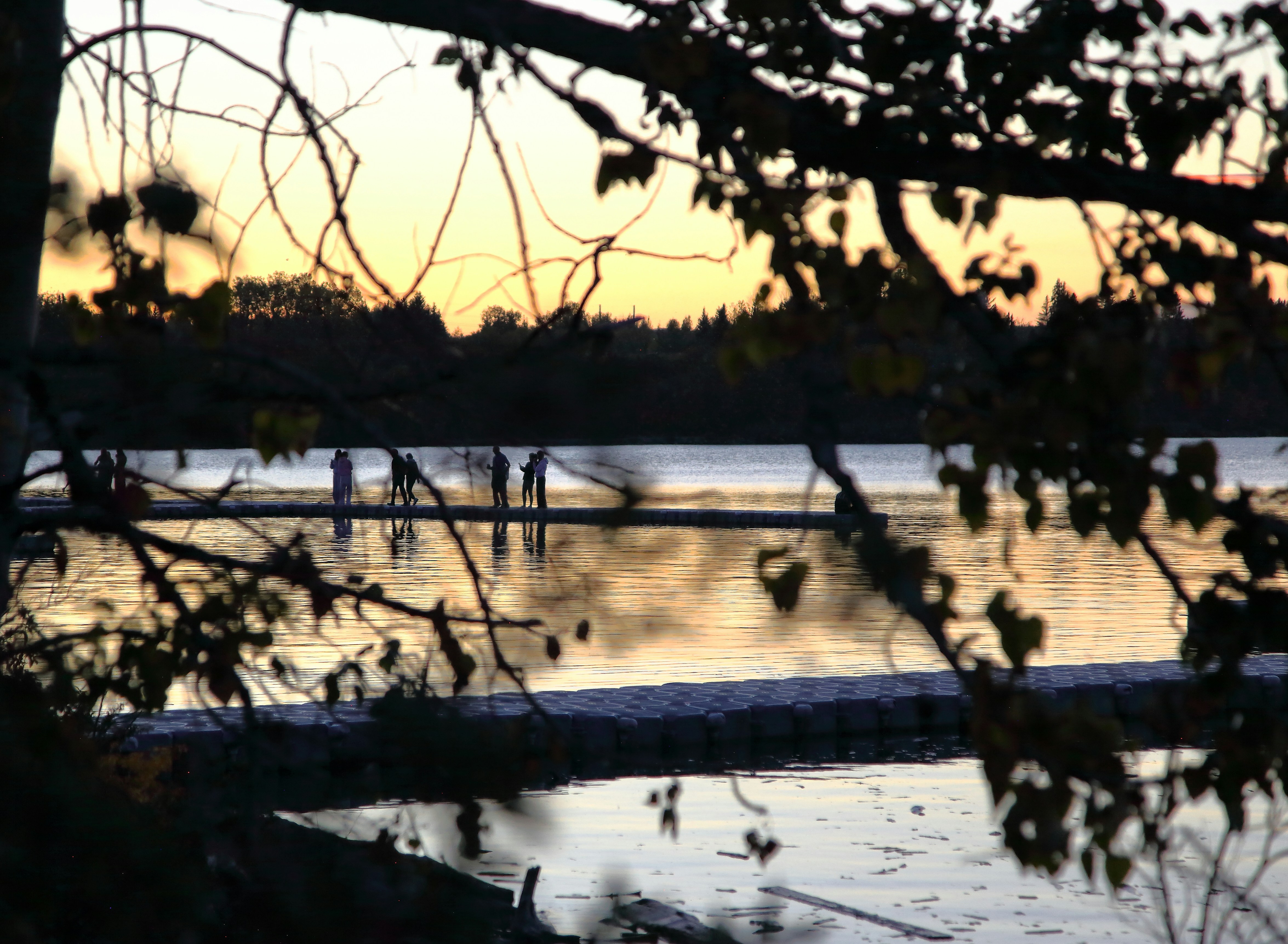 Sunset Silhouette over Quiet Shoreline with Framing Branches
